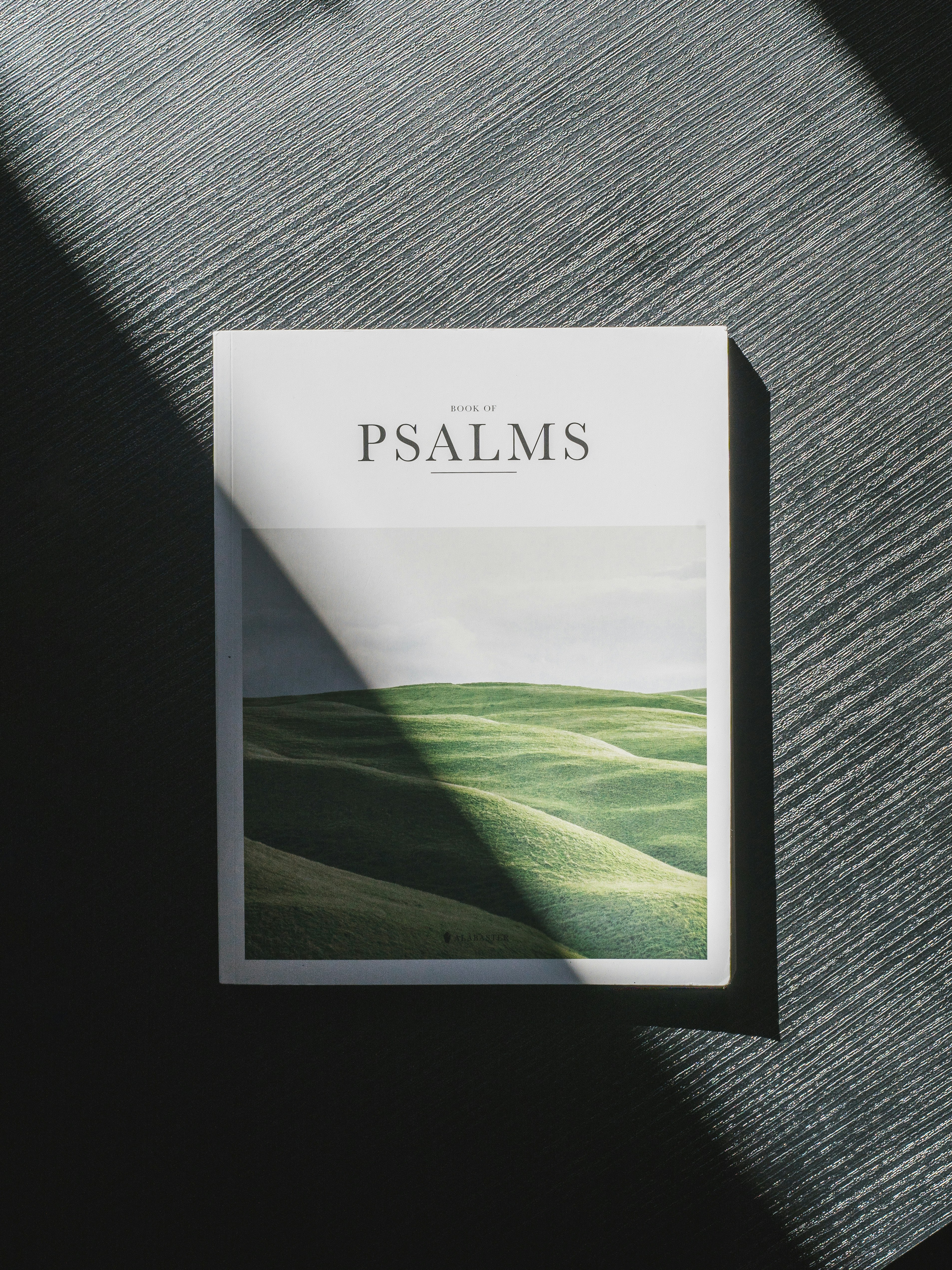 Struggling through Psalms - by Susan Bruns - Facing Fear