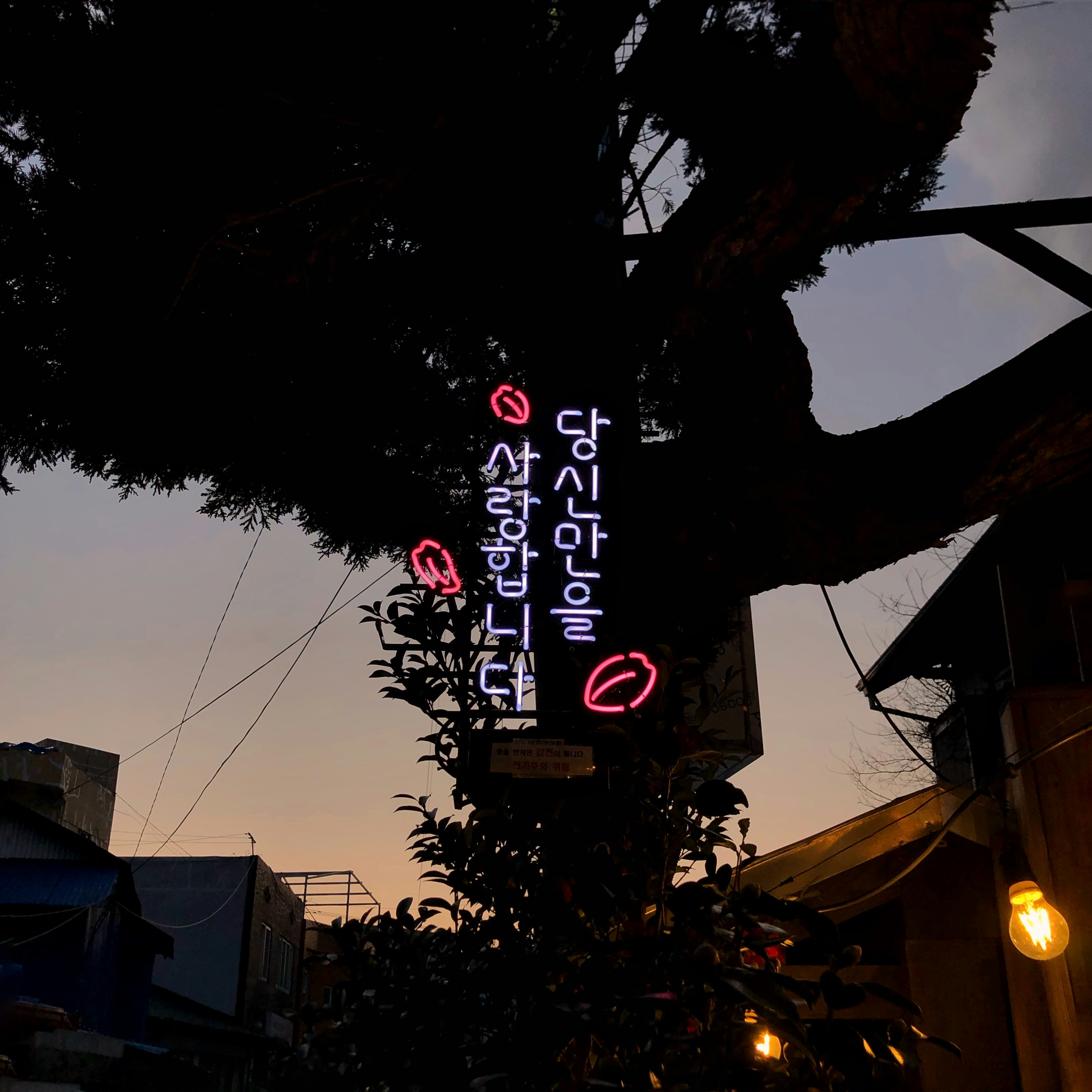 UNK UNK UNK UNK UNK photo – Free Love Image on Unsplash