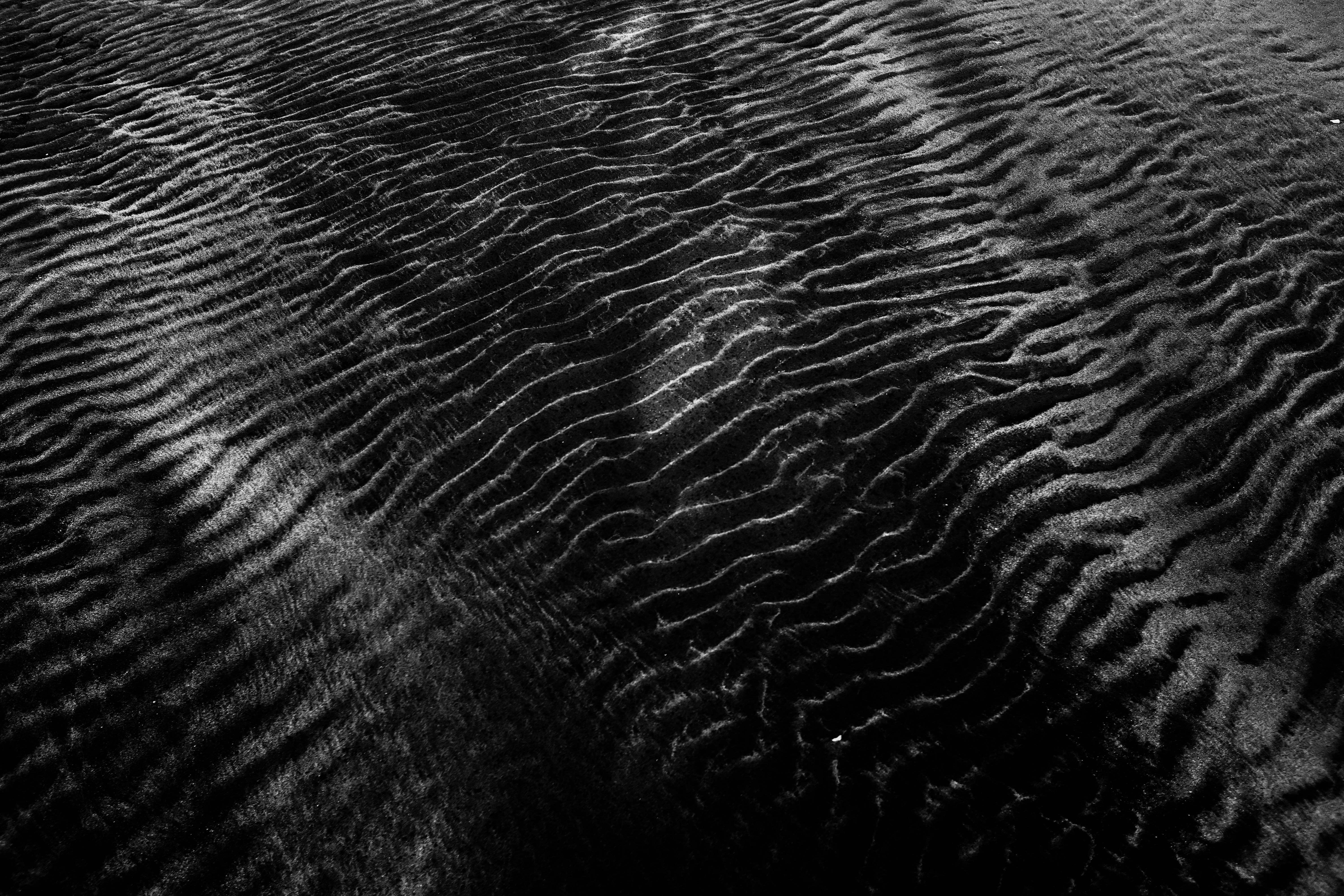 Grayscale photo of body of water photo – Free Black Image on Unsplash