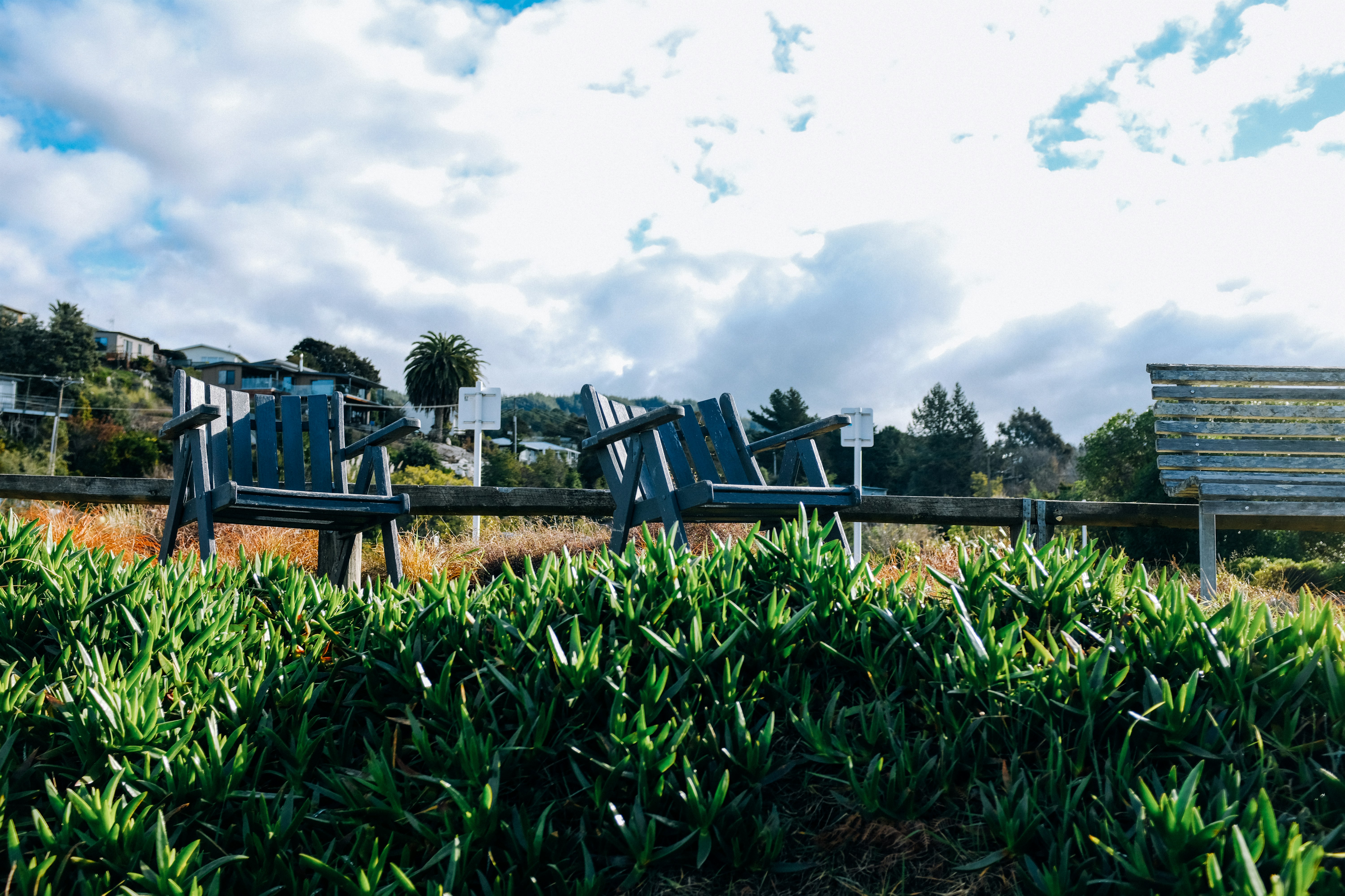 Row of Weathered Benches Overlooking a Coastal Green Slope