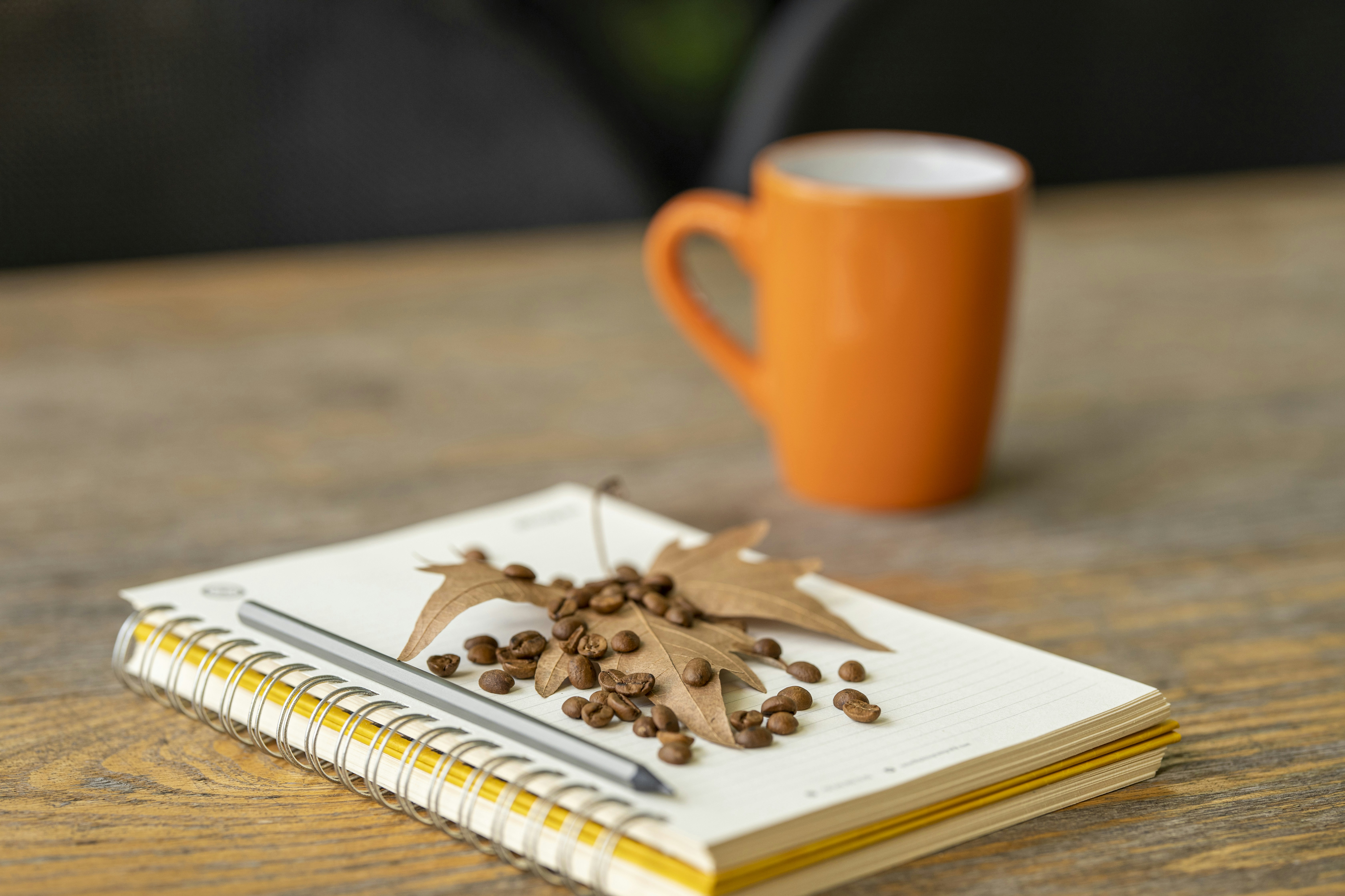 coffee break in an office