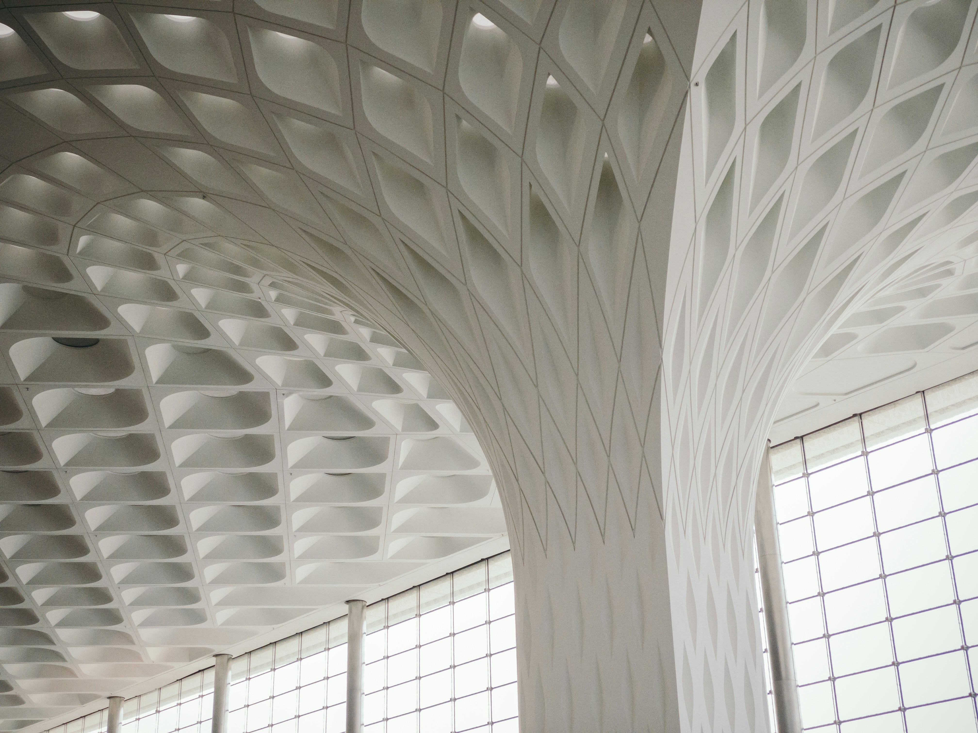 Hexagonal vaults: a cathedral of captured light