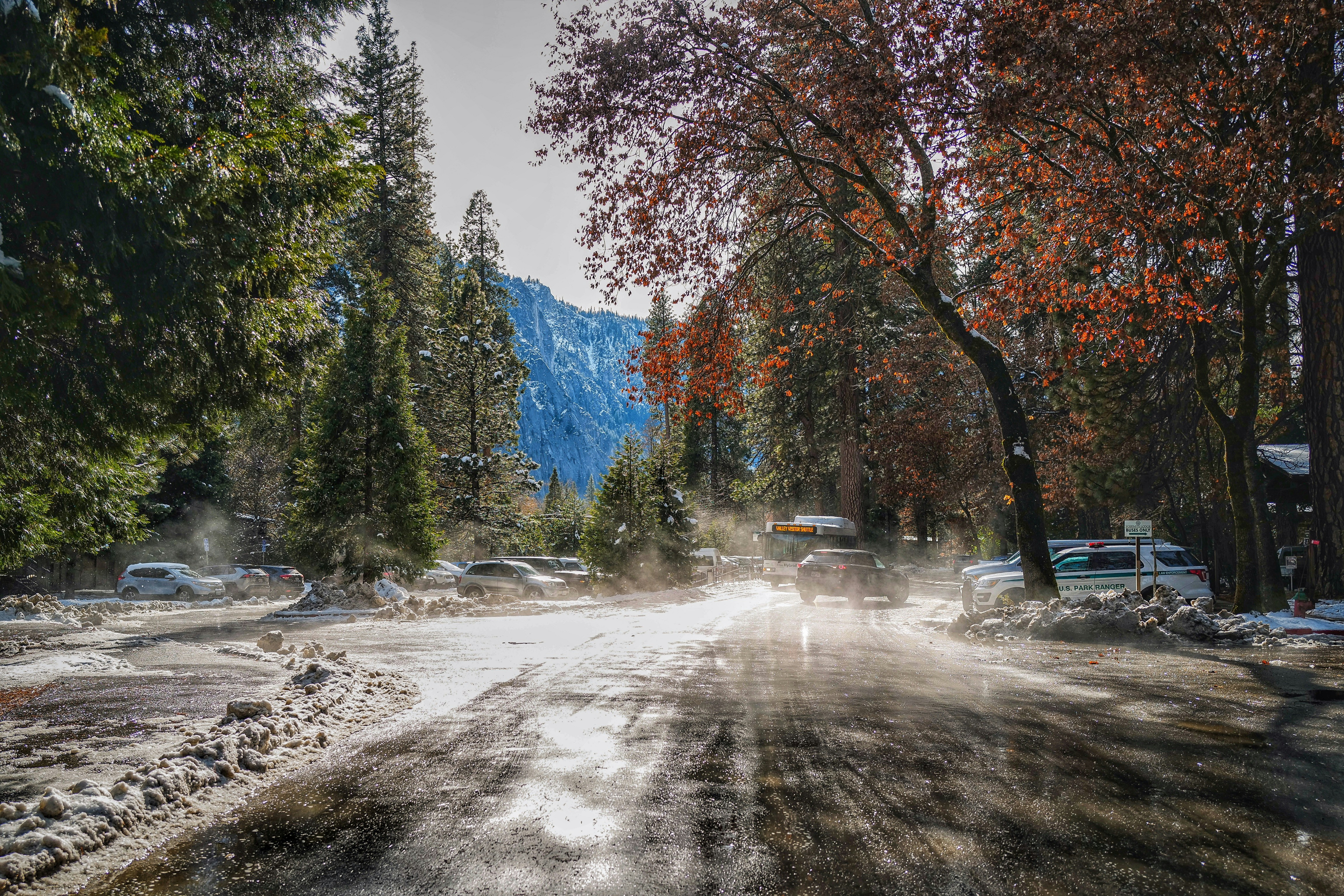 Sunlit Slush: A Mountain Road Framed by Conifers and Autumn Canopies
