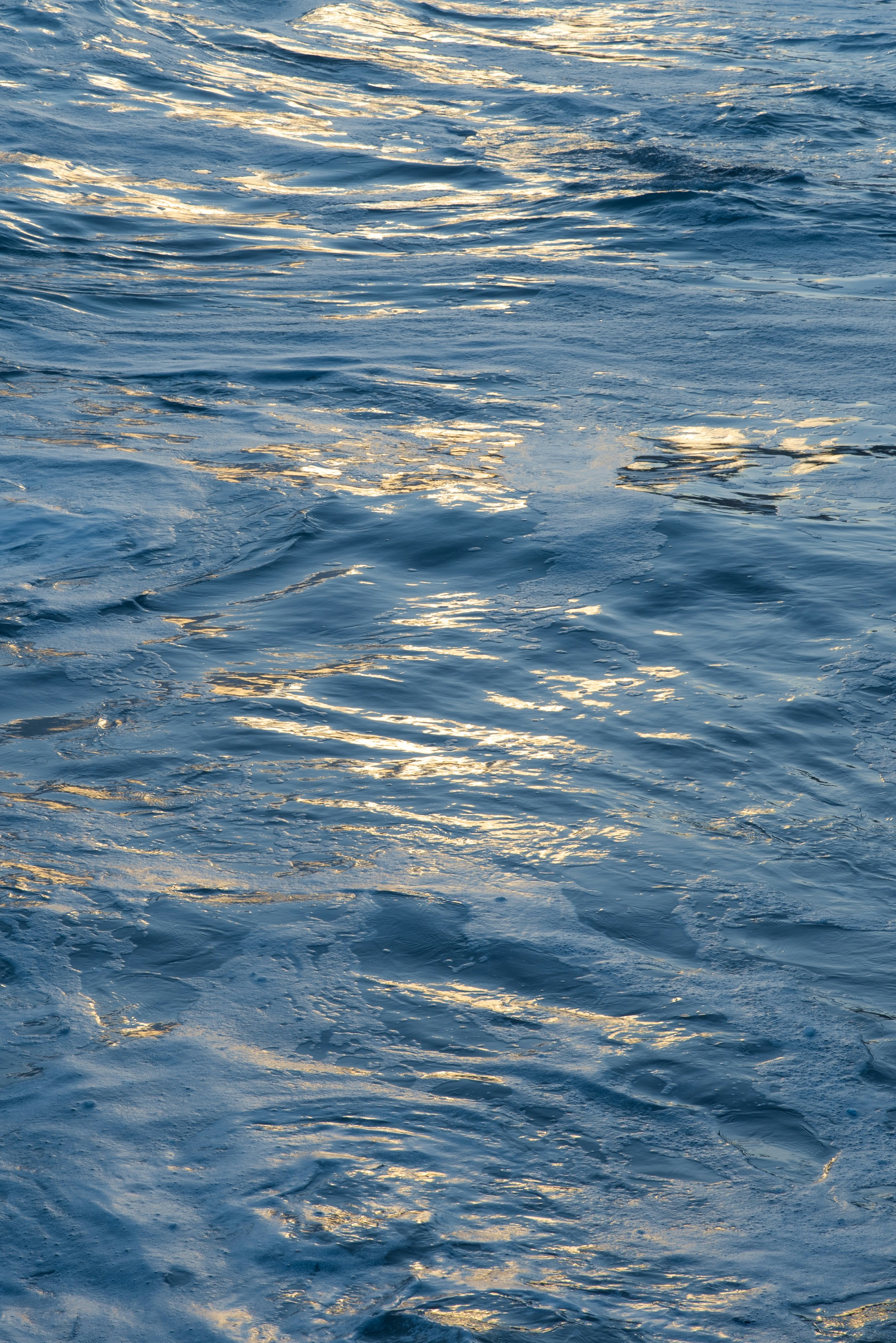 Glistening waves reflect soft light, creating a serene interplay of color and texture on the water's surface.