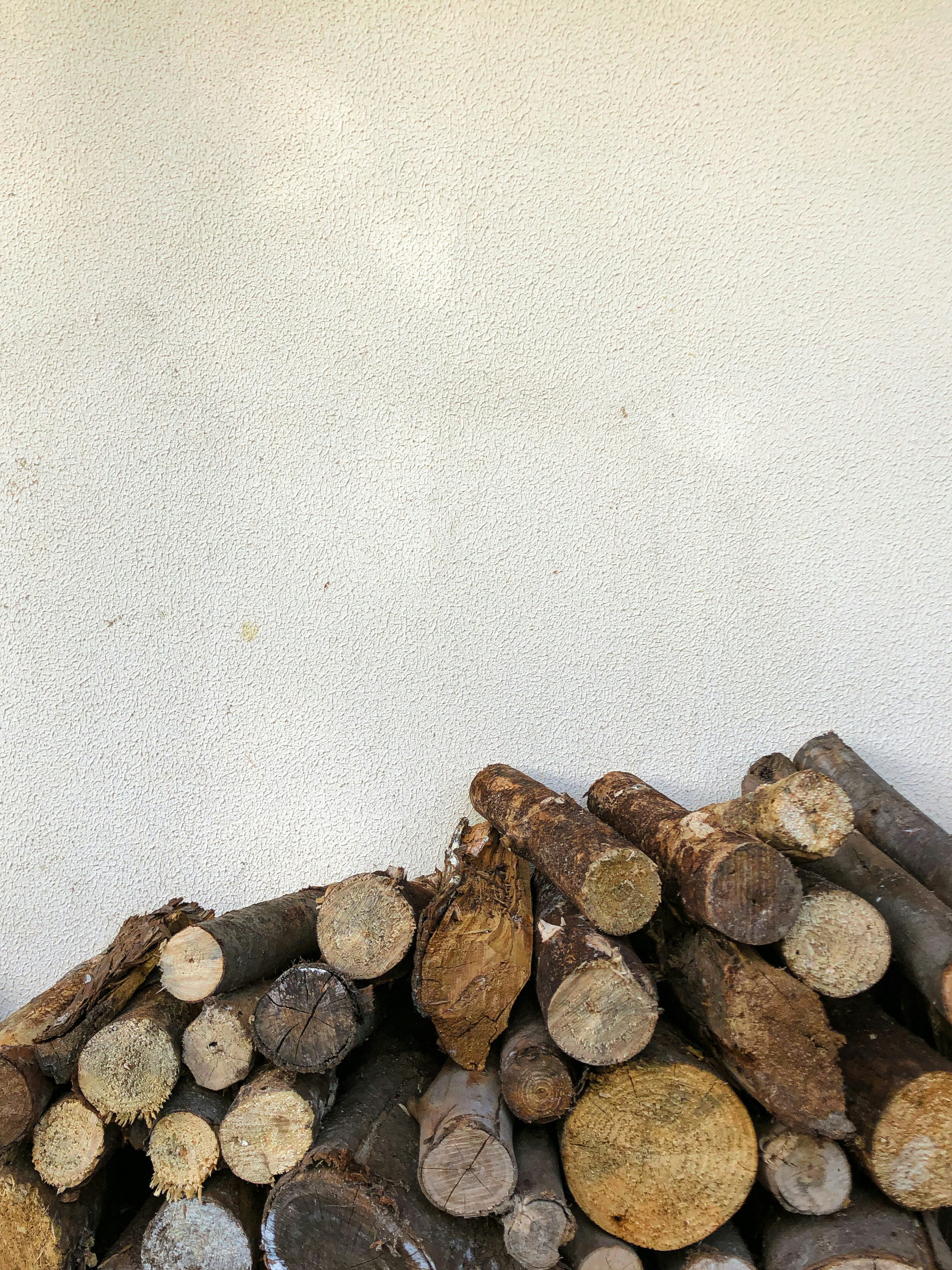 A neatly arranged pile of logs against a textured white wall, showcasing the natural beauty of wood and its organic shapes.
