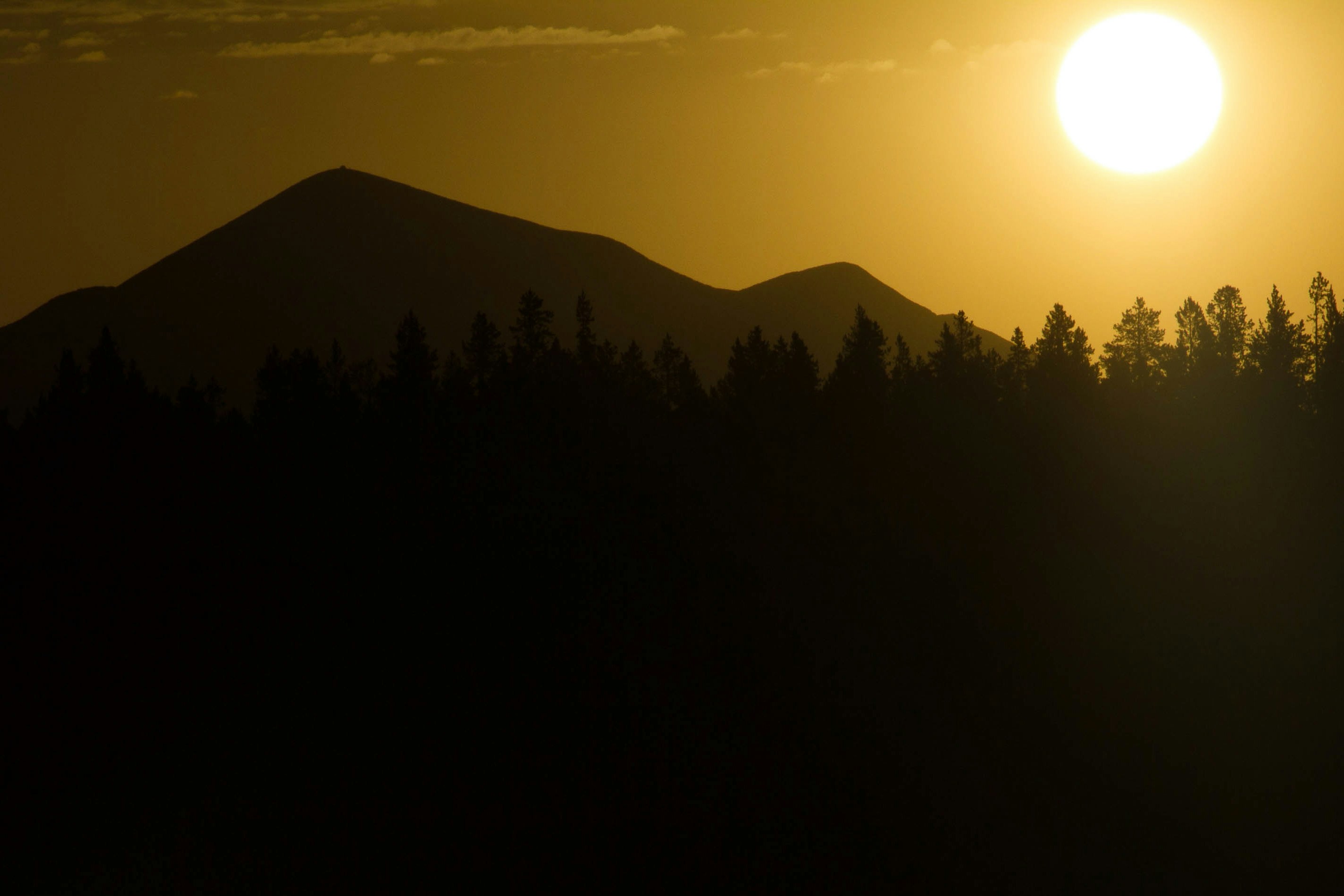 Sunlit Summit: Silhouetted Pines Under a Golden Horizon