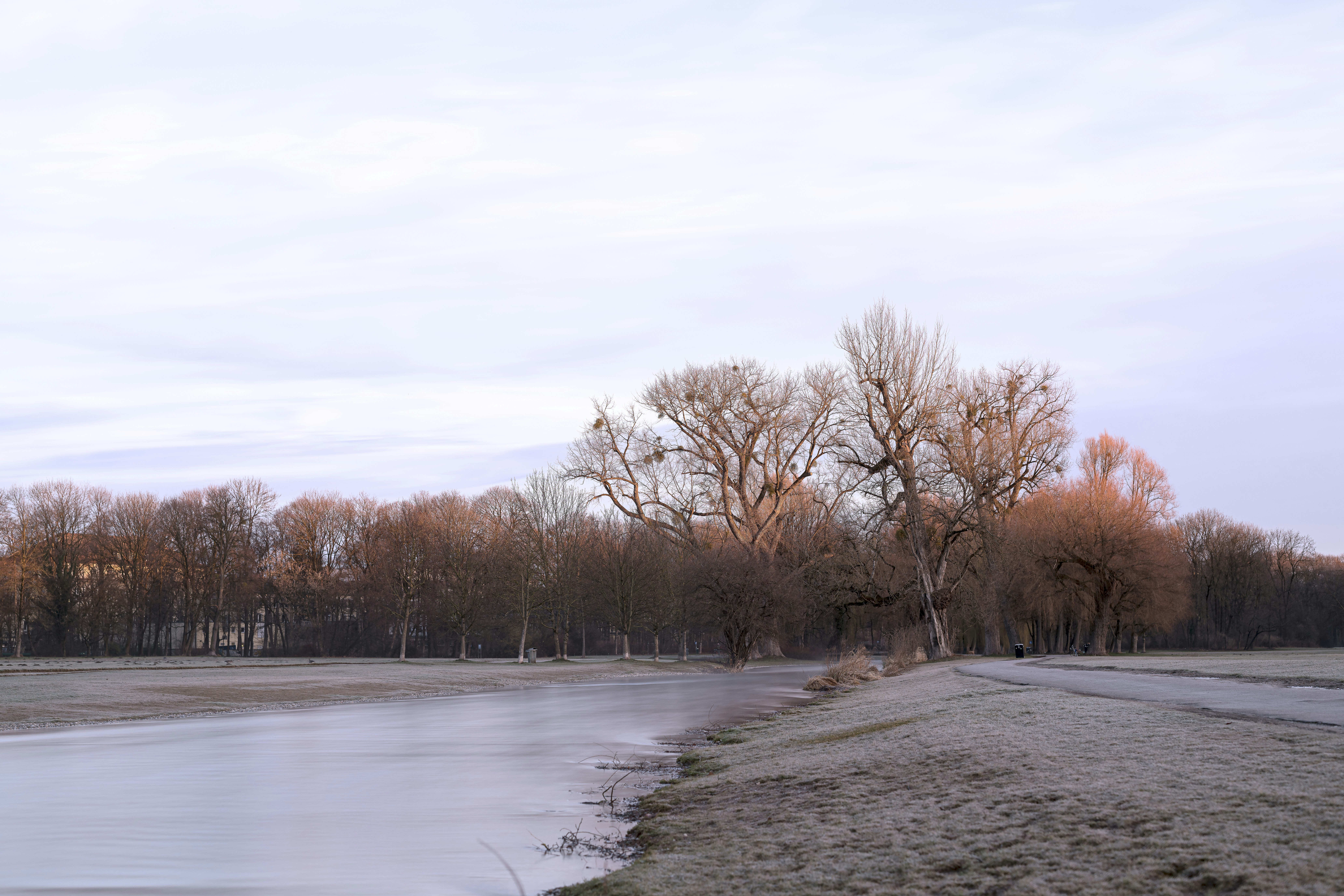 Dusk on the Frosted Riverbank: Bare Trees at the Edge of Quiet Water