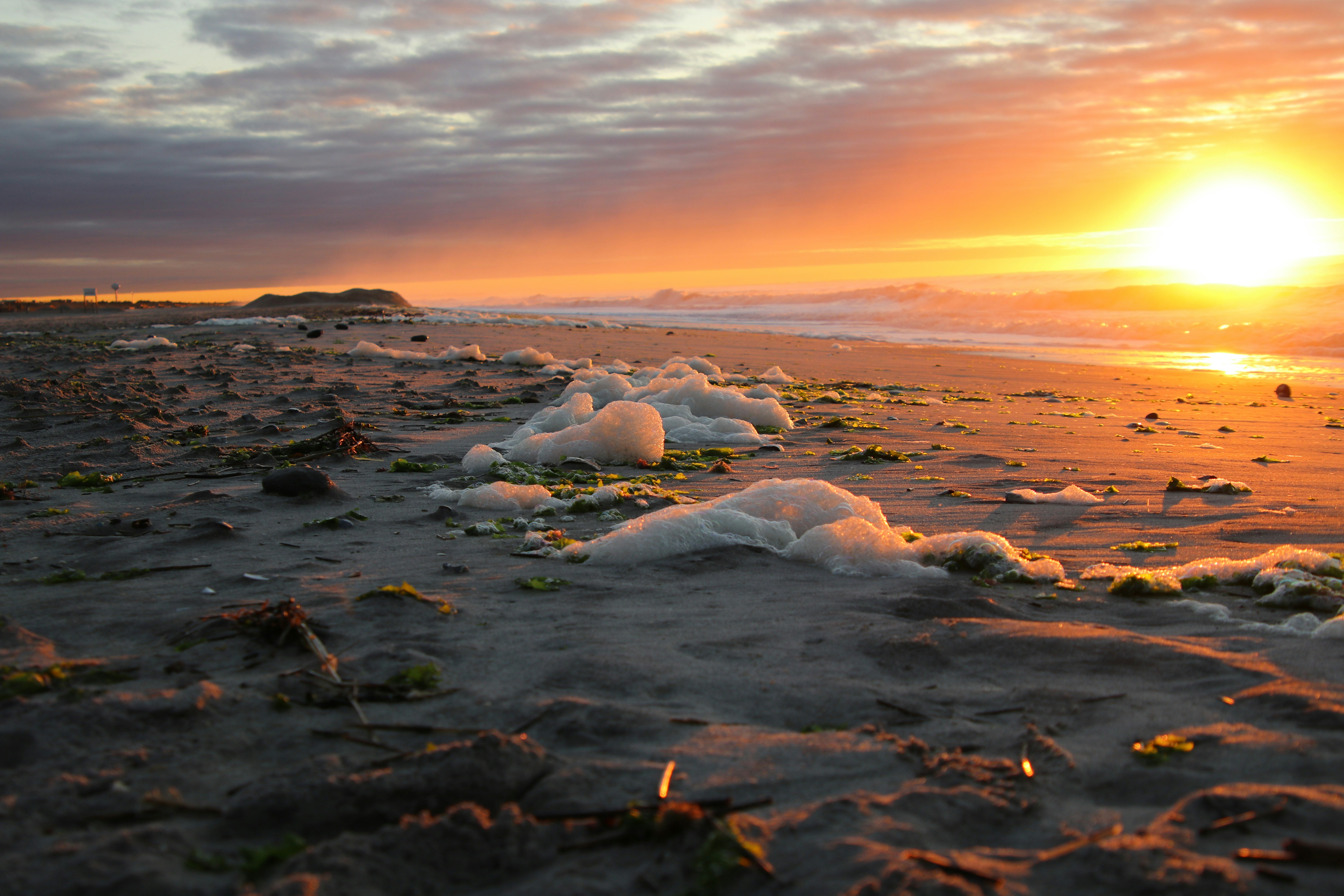 Sunlit Tide: Ice and Ember on a Dusk Shore