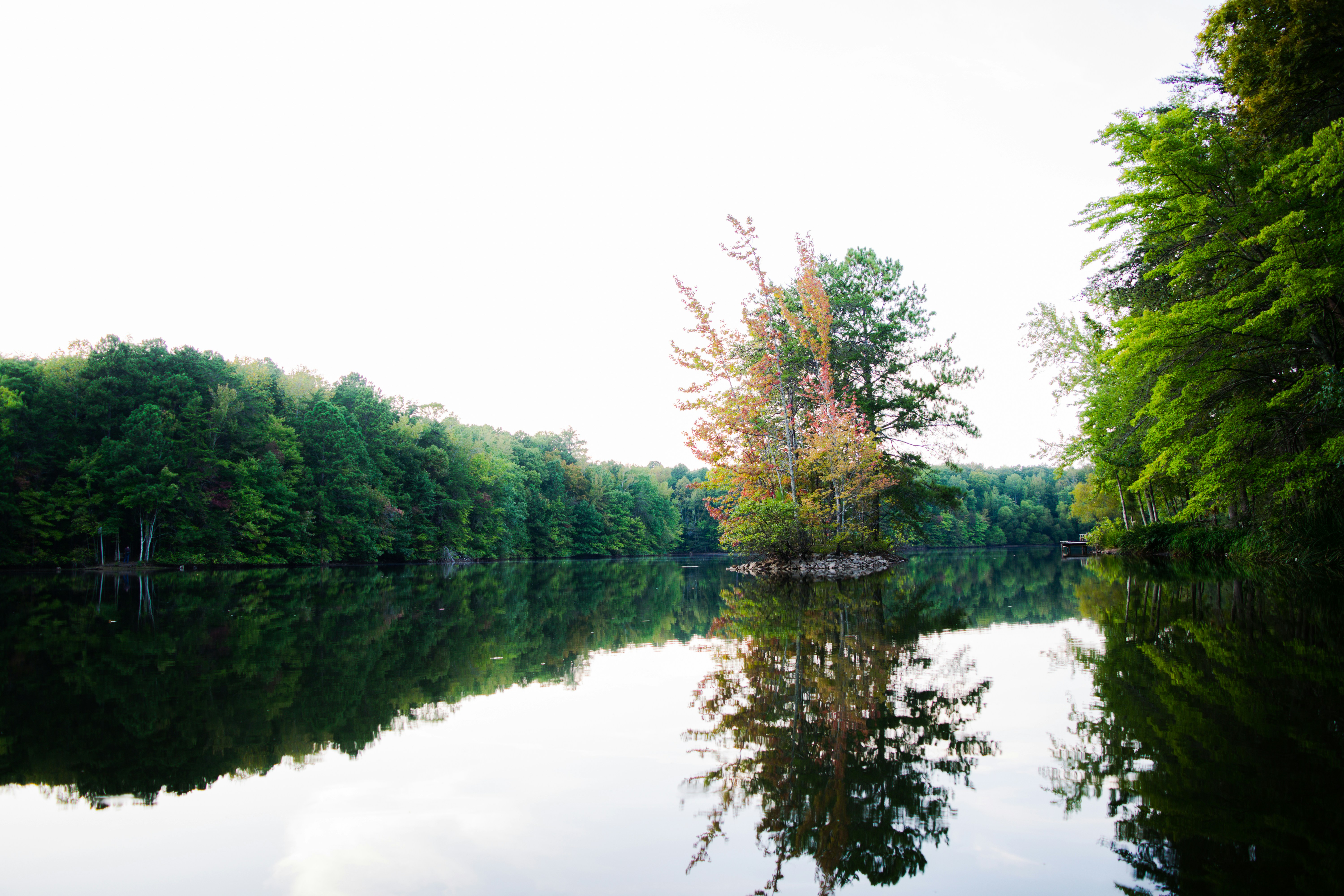 Green trees beside lake during daytime photo – Free Usa Image on Unsplash