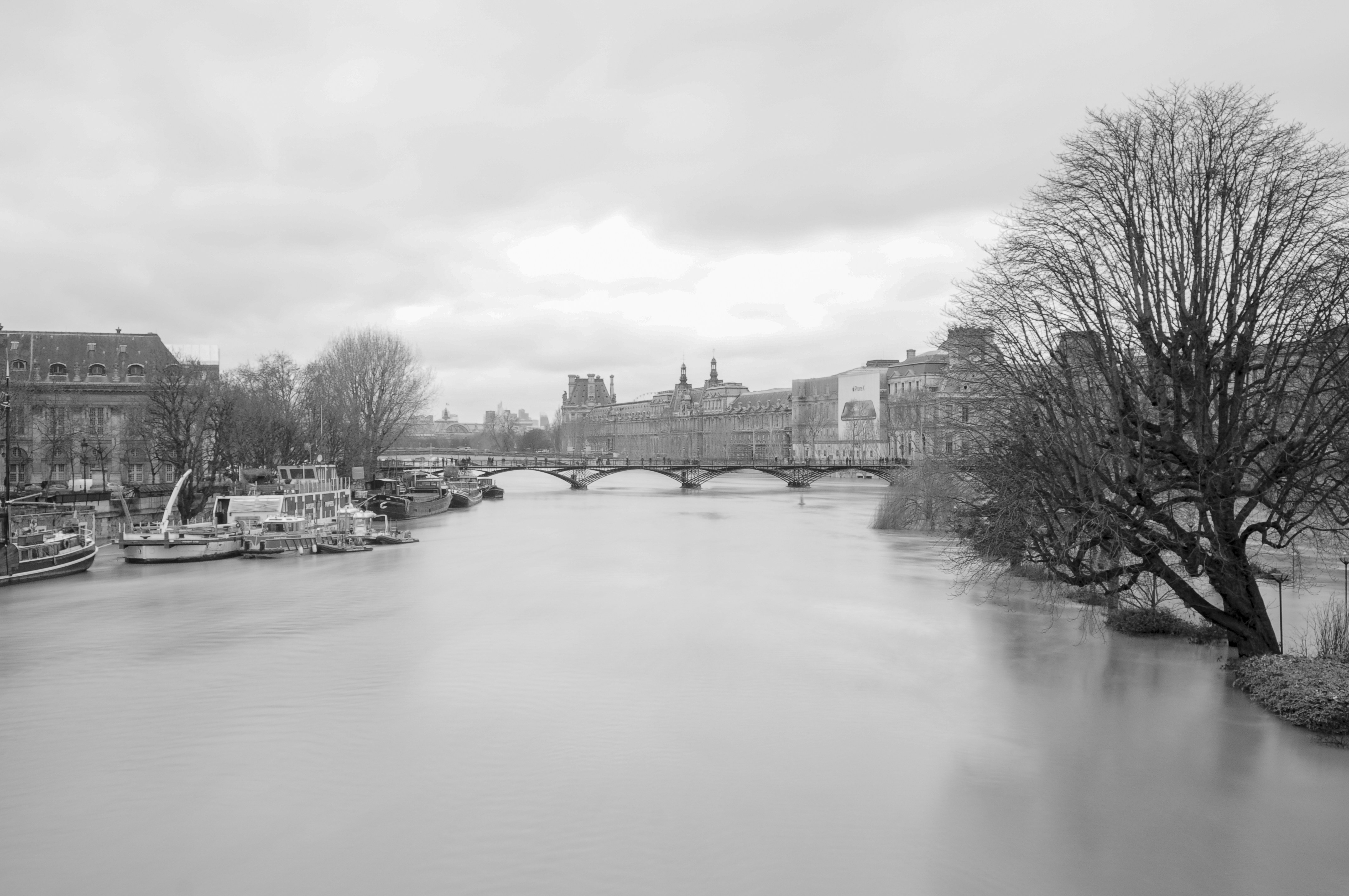 Serene view of the Seine River, featuring a bridge and moored boats under a cloudy sky, with a solitary tree on the riverbank.