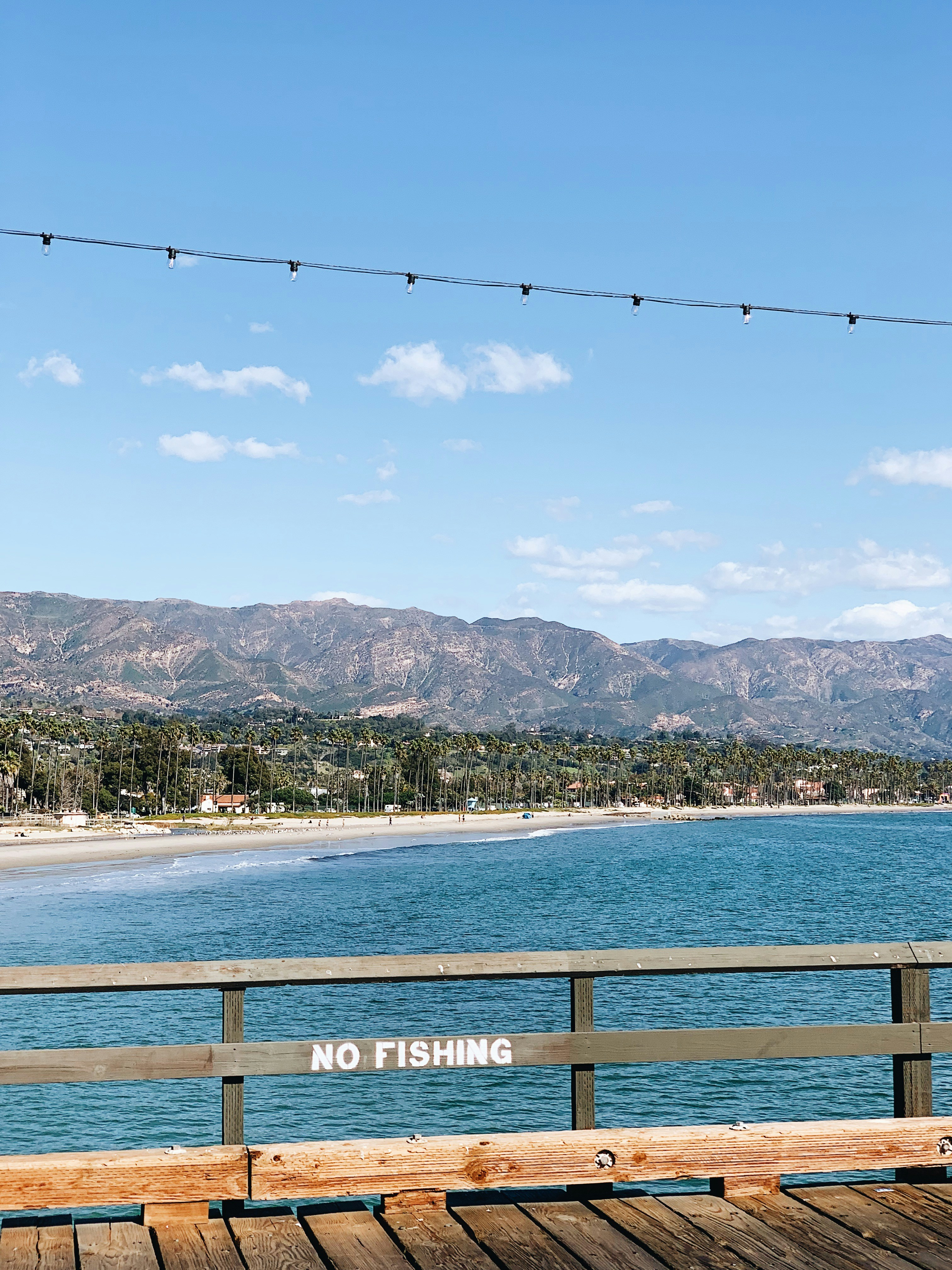 Coastal Serenity: A Day at the Pier