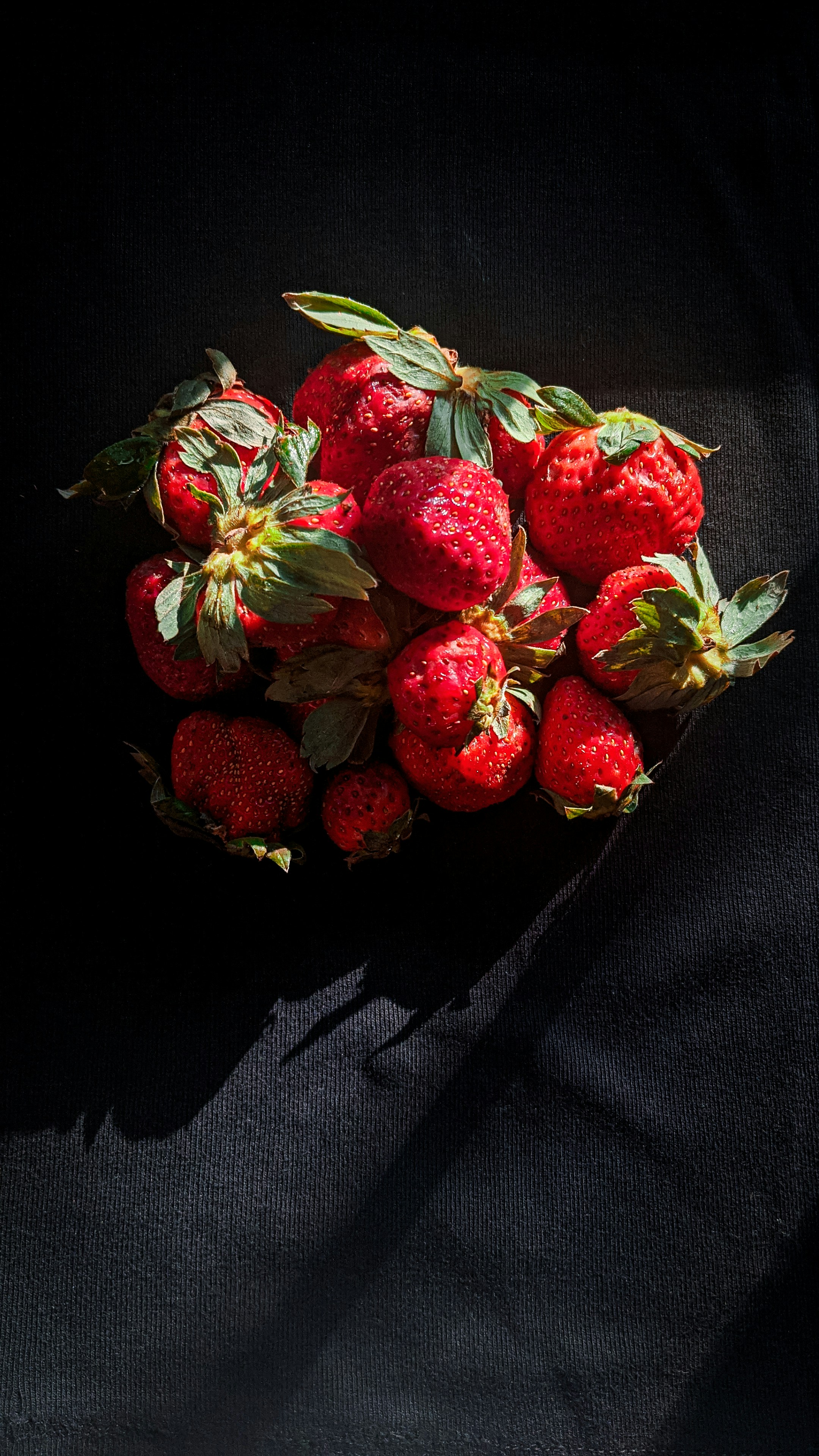 Crimson Berries on Velvet: A Still-Life in Shadow and Light