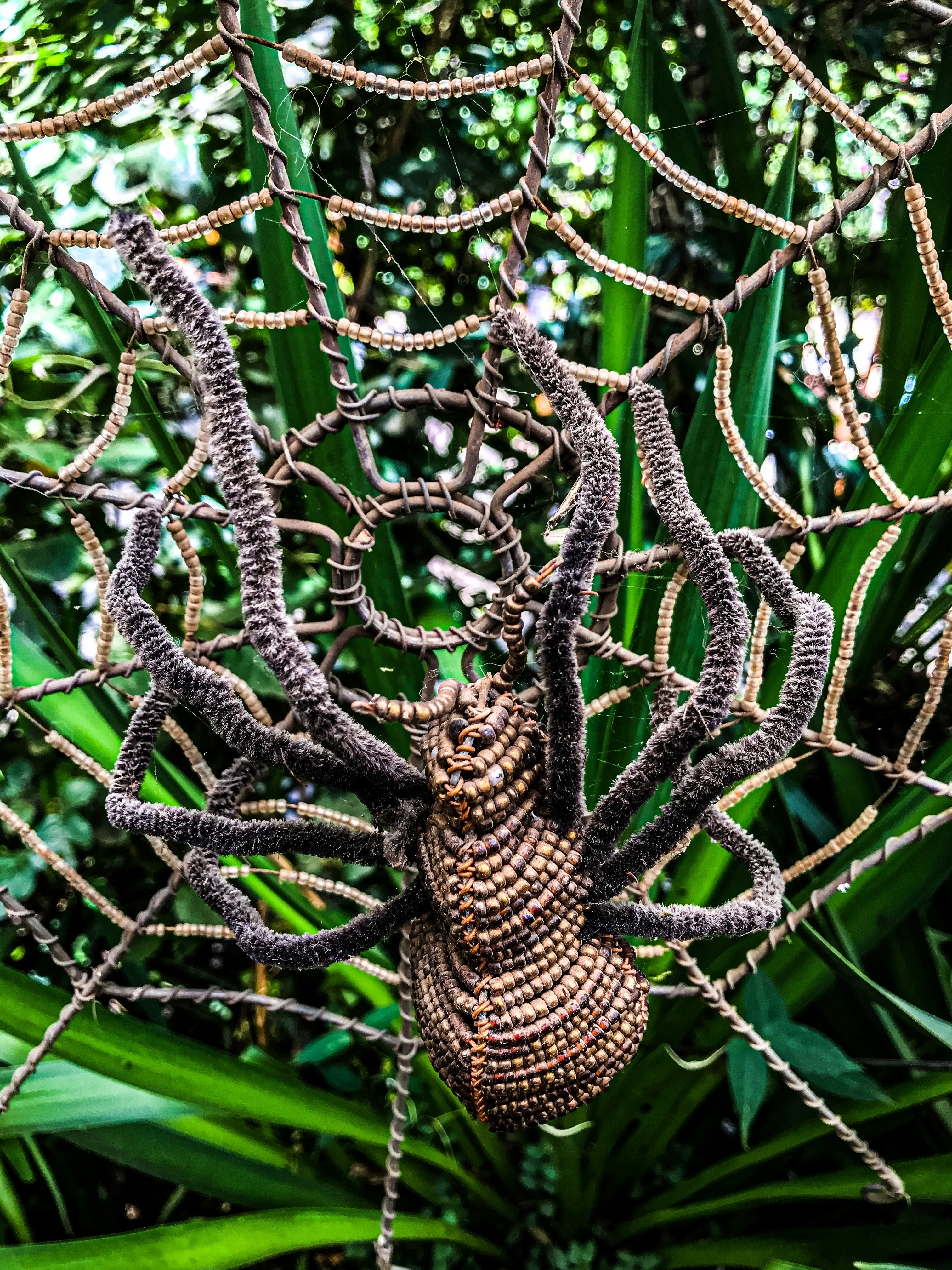 A detailed view of a spider nestled in its intricately woven web, surrounded by lush green foliage. The craftsmanship of the web highlights the delicate balance of nature.