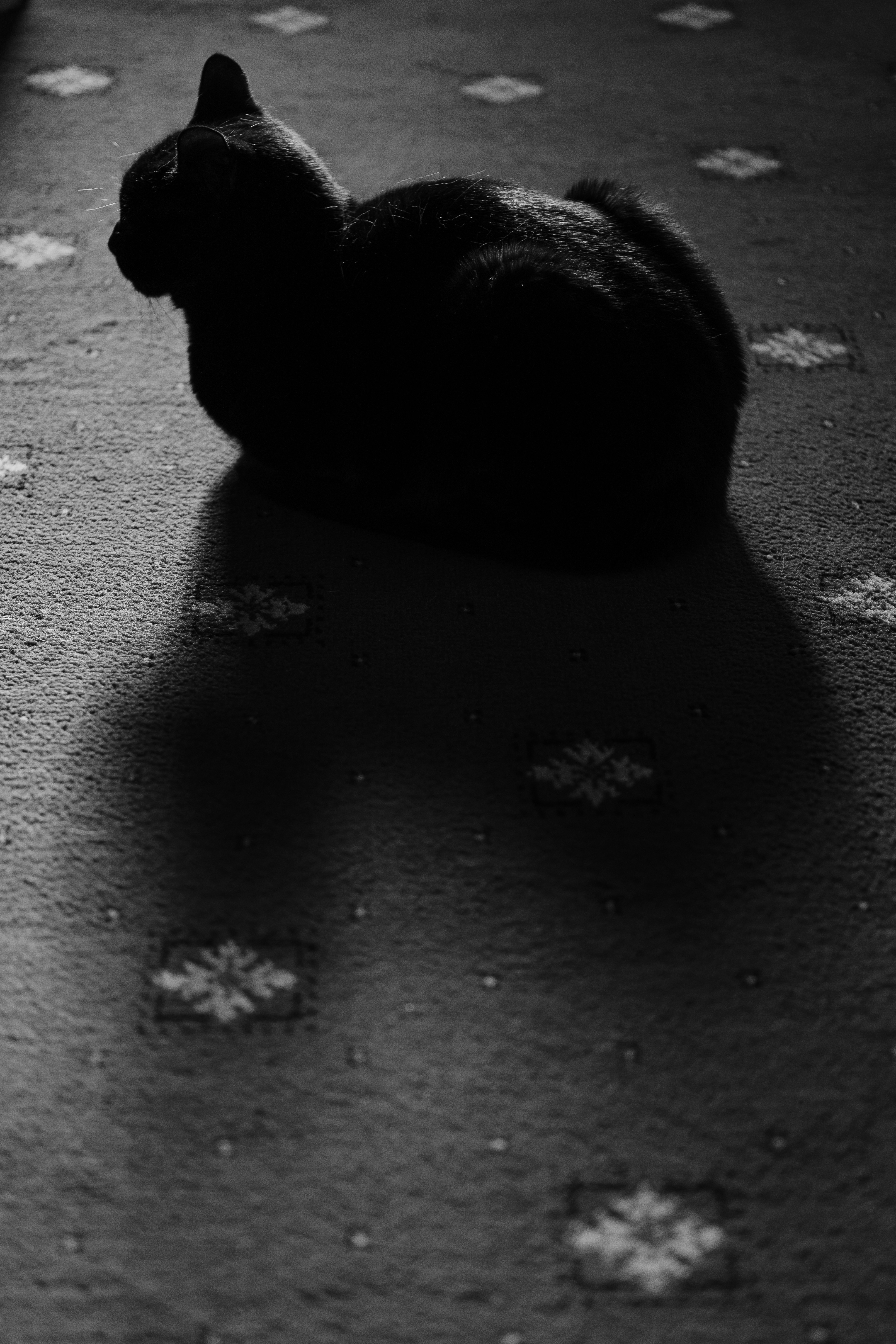 Jamie Haughton (@haughters) | Unsplash Photo Community
