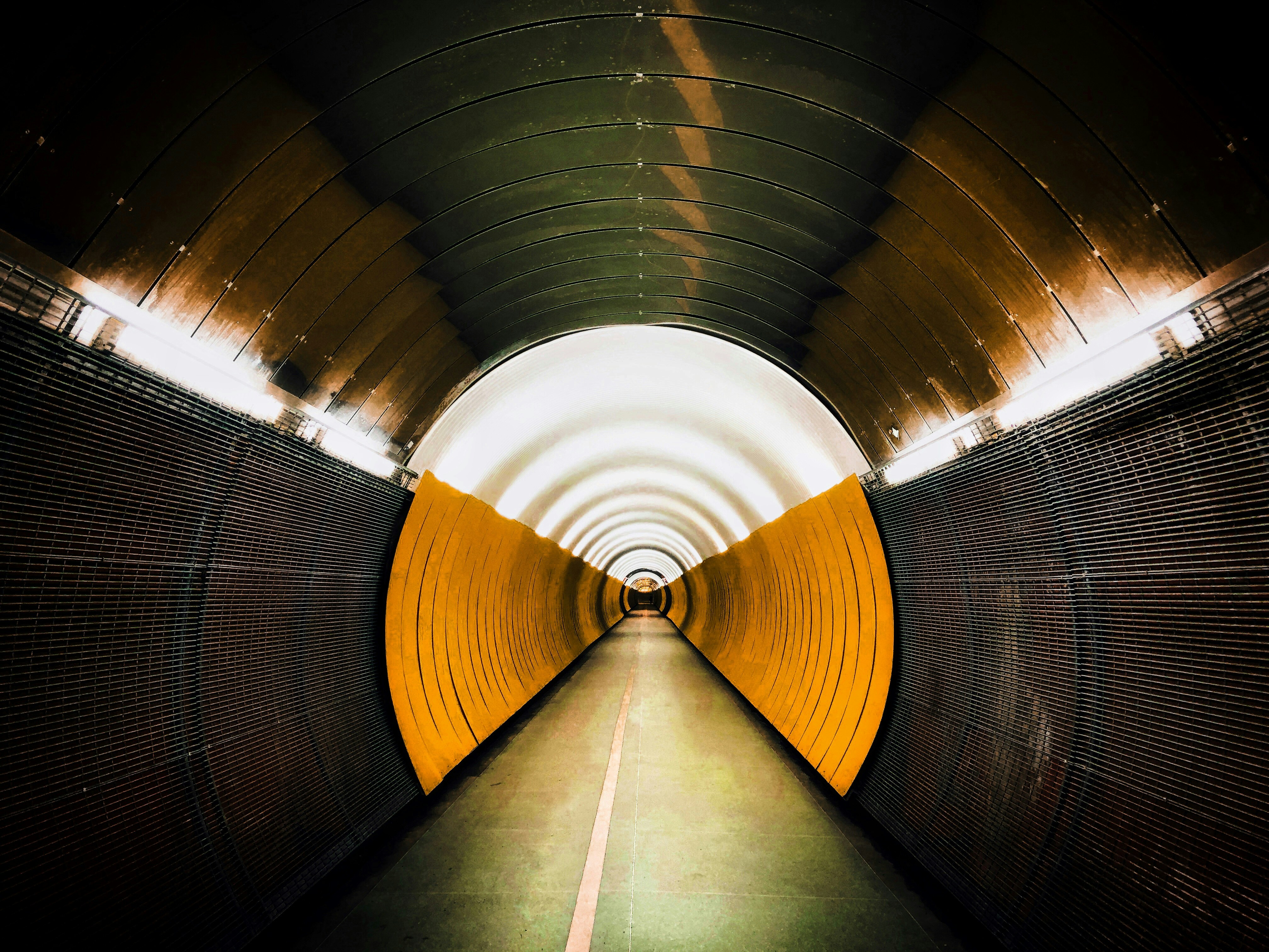 Gray and yellow tunnel with white ceiling photo – Free ...