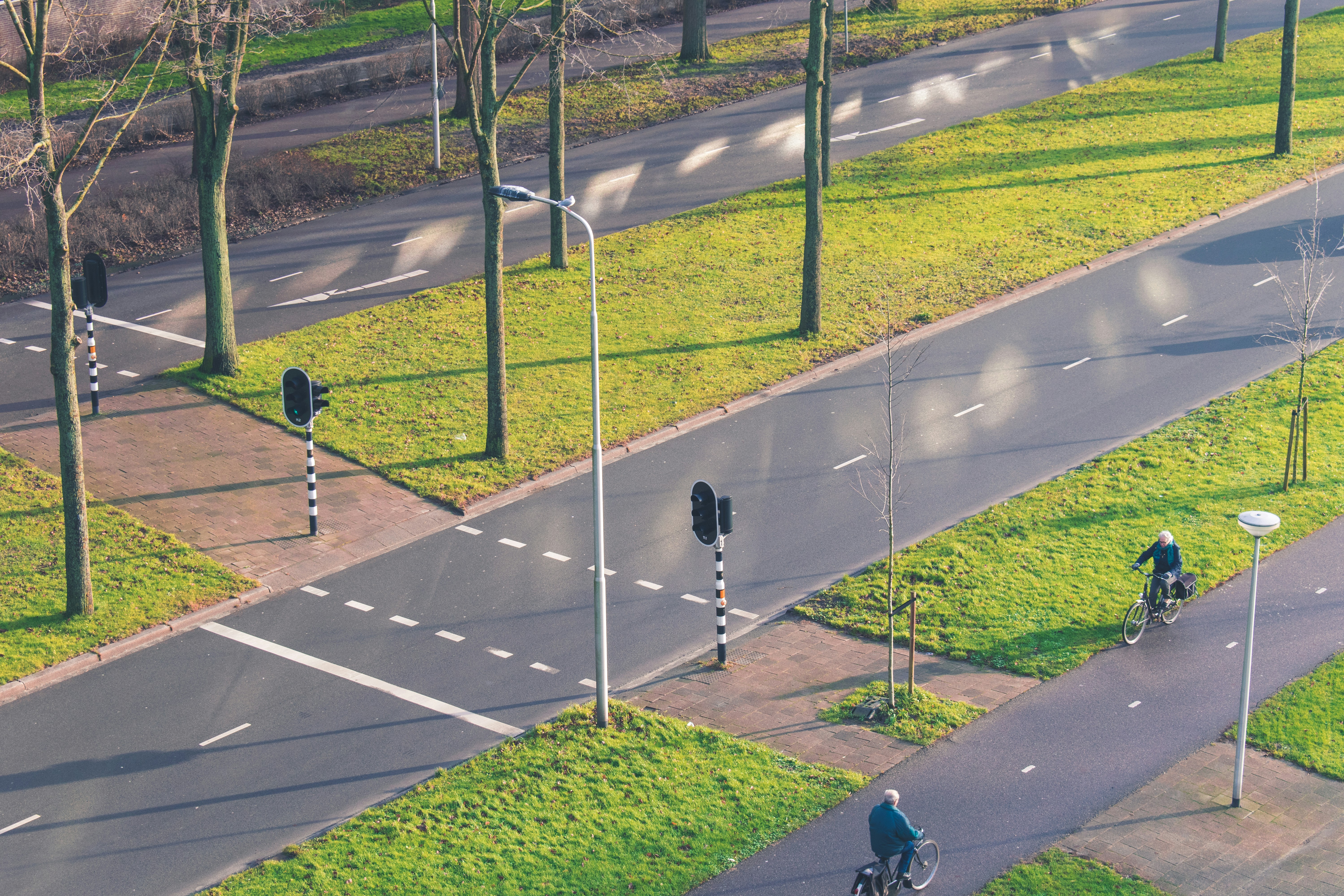 Two cyclists traverse intersecting bike lanes bordered by lush green grass under tall trees during daylight.
