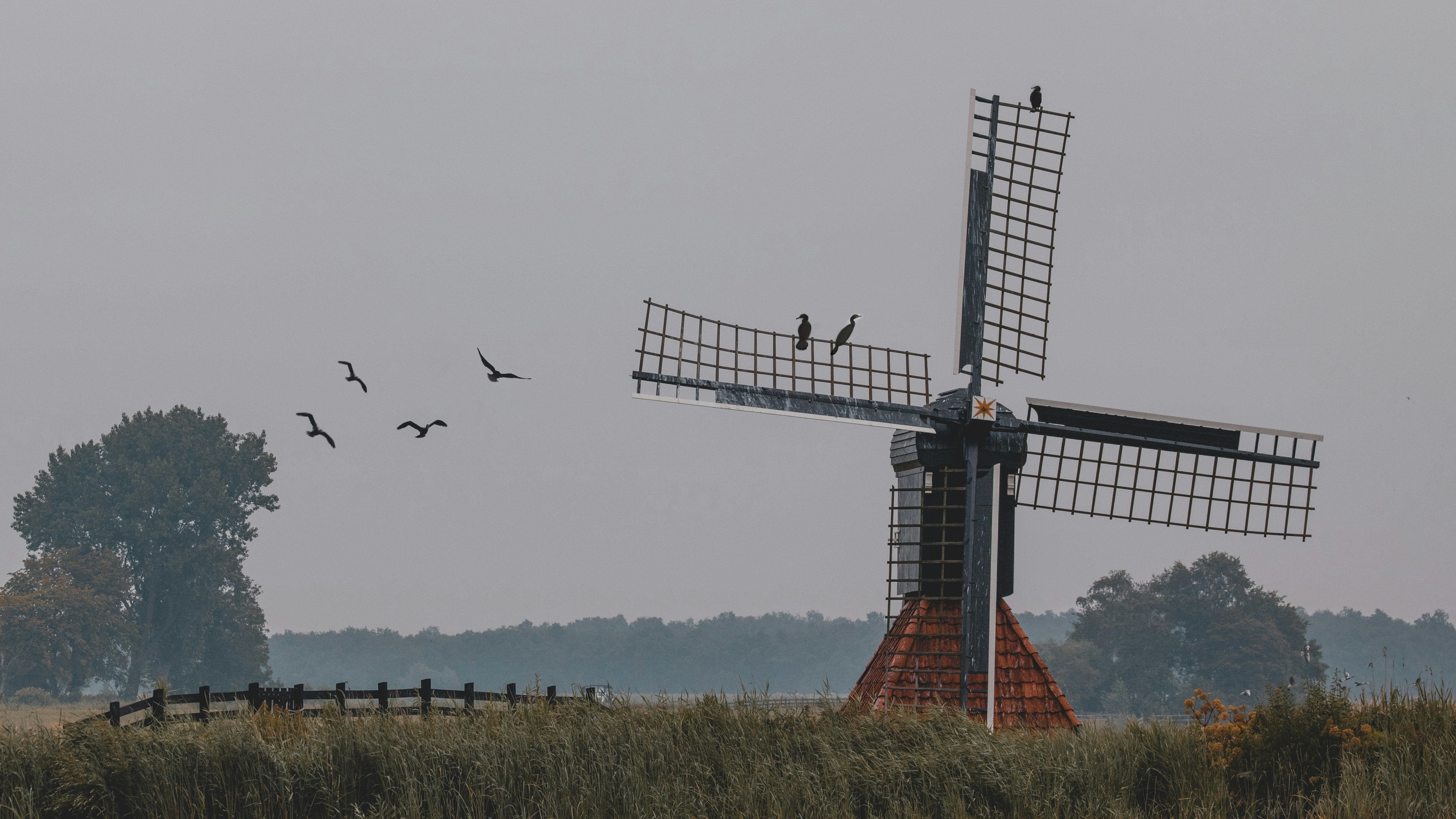 A classic windmill stands tall against a muted sky, with birds gliding gracefully nearby. The scene evokes a sense of tranquility and harmony with nature.