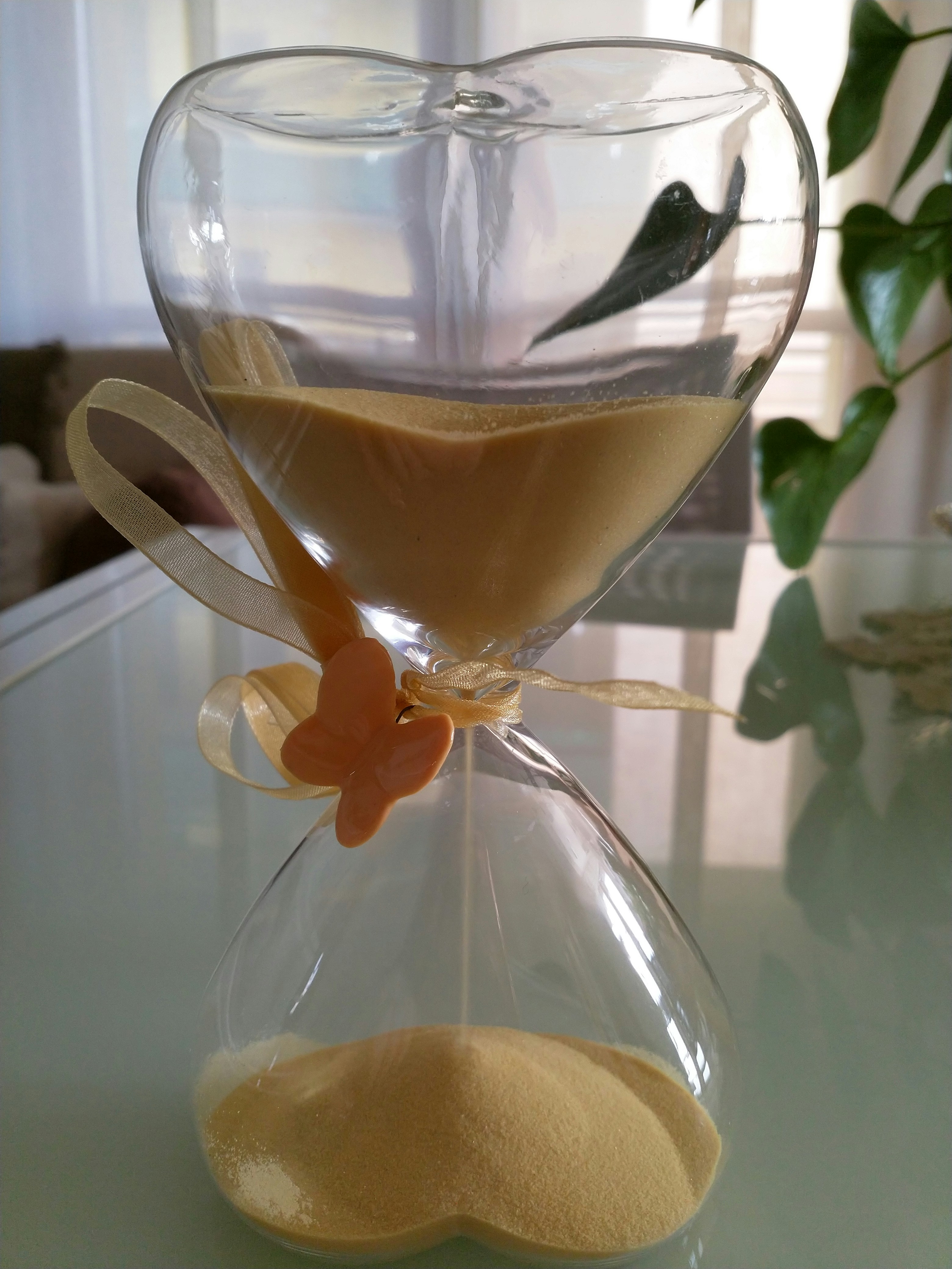 Daniela Bi (@danielabi) | Comunidad de fotos de Unsplash