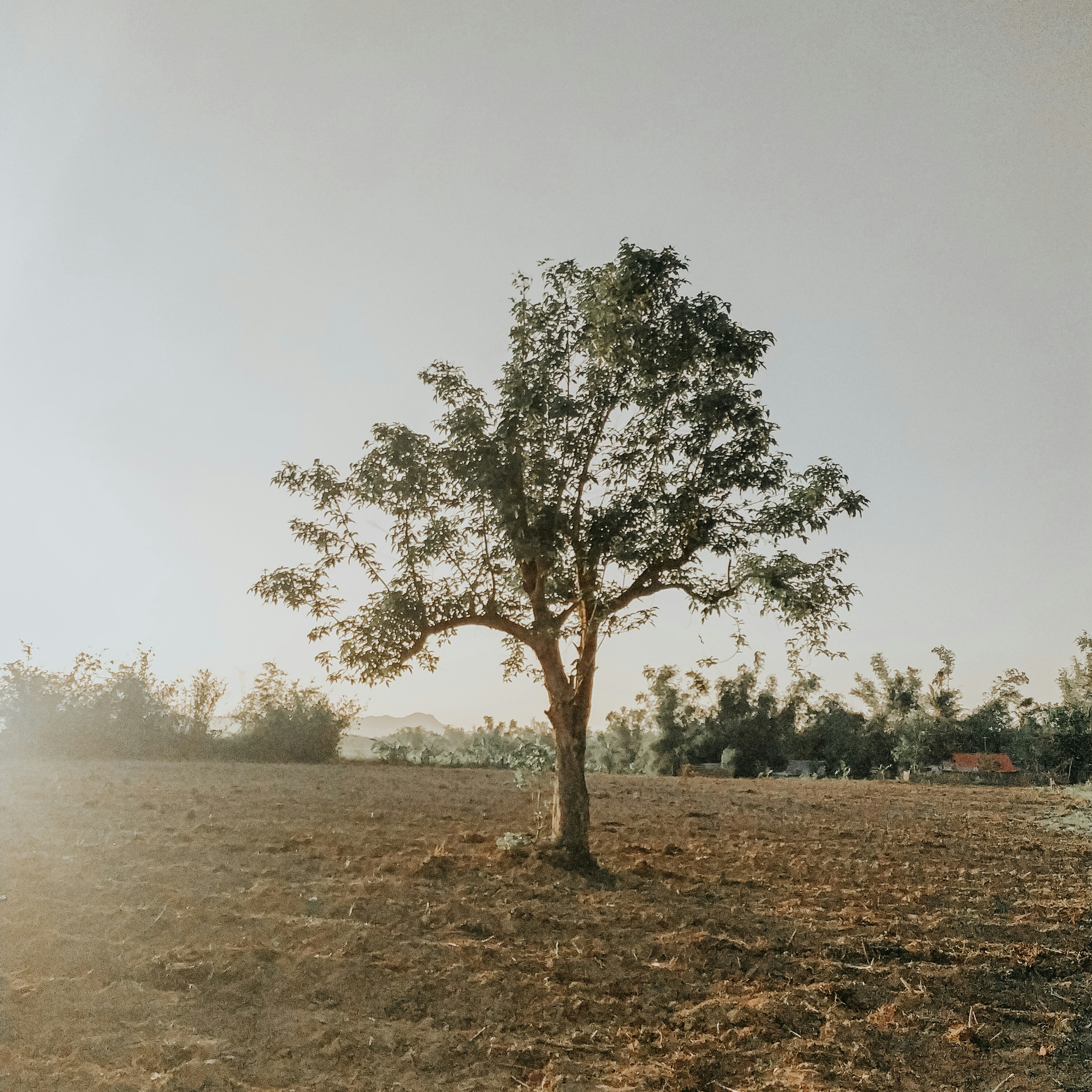 John Moses Aposaga (@johnmoses) | Unsplash 사진 커뮤니티