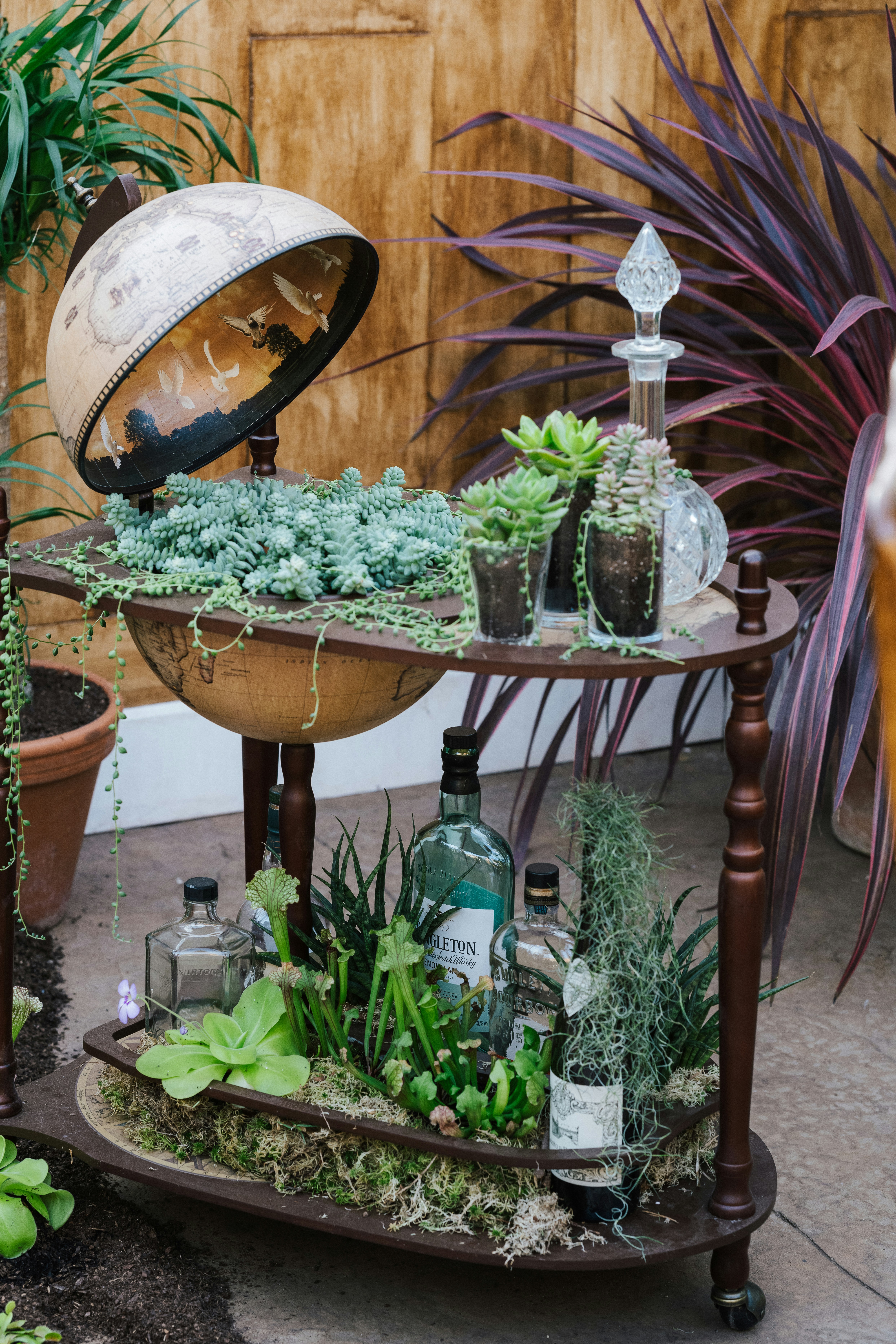 Tilted Globe Lamp Among Verdant Succulents on a Rolling Side Table