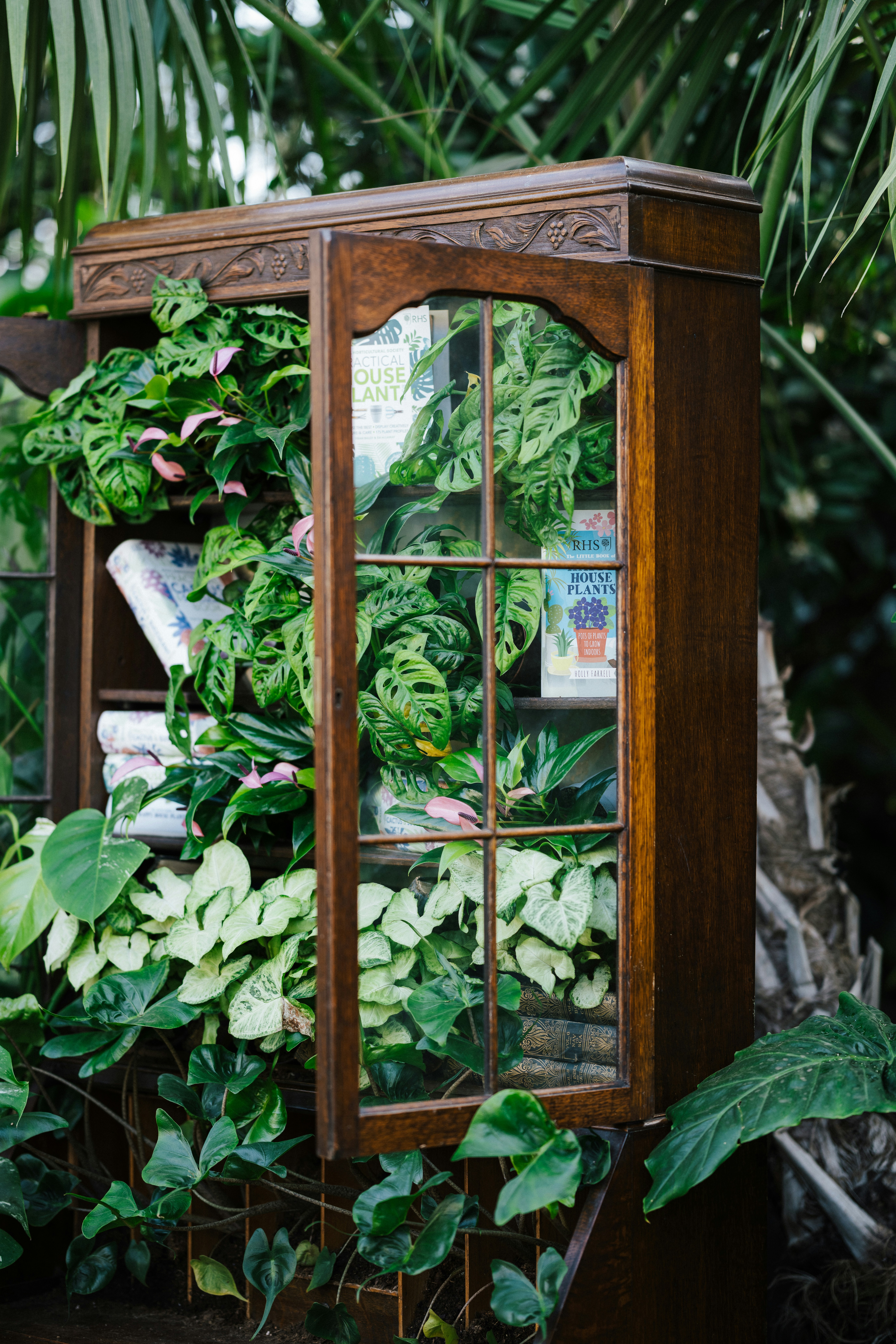 Fern-Filled Curio Cabinet Adrift in Greenery