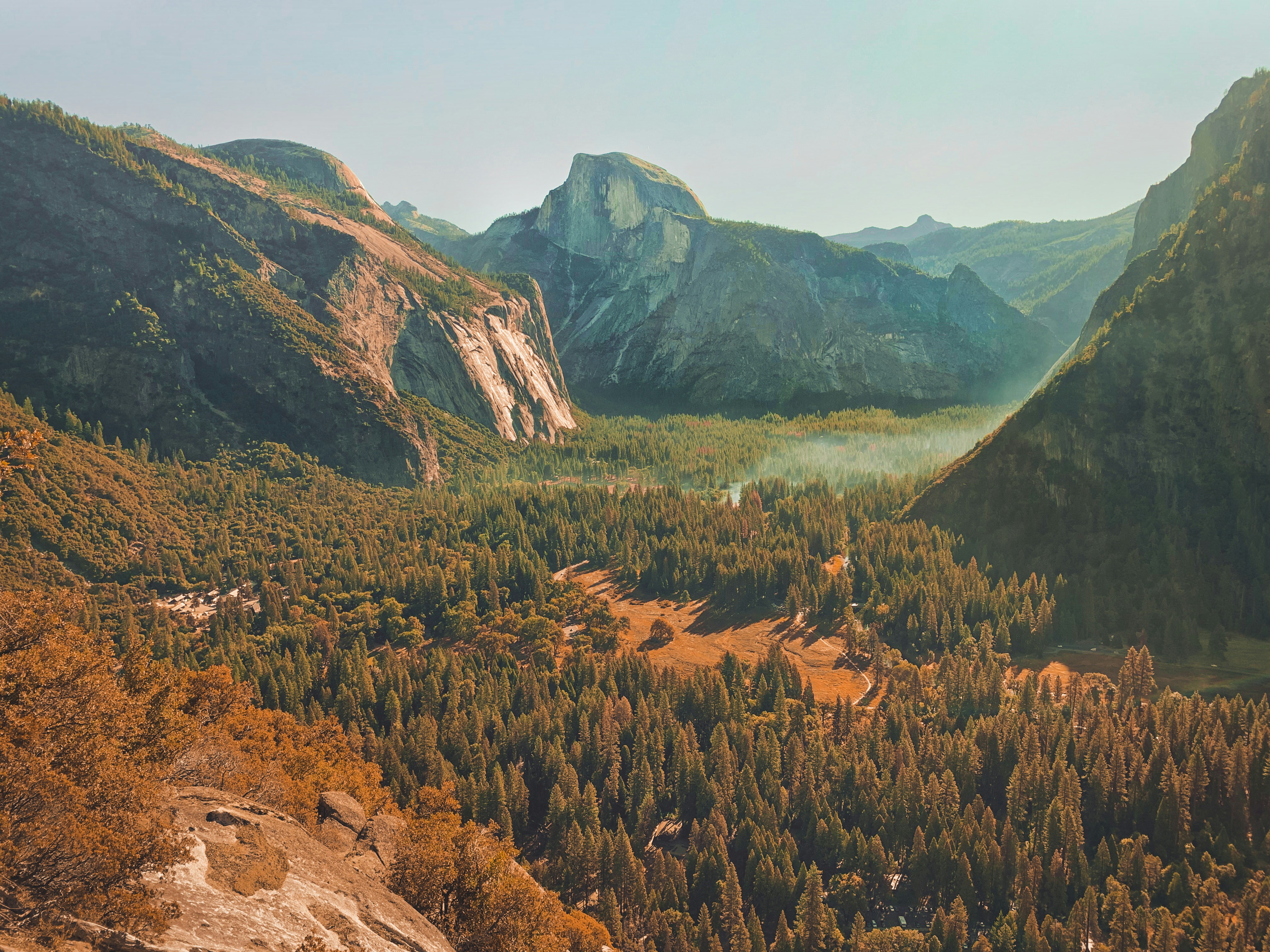 Brown and green trees on mountain during daytime photo – Free Mountain ...