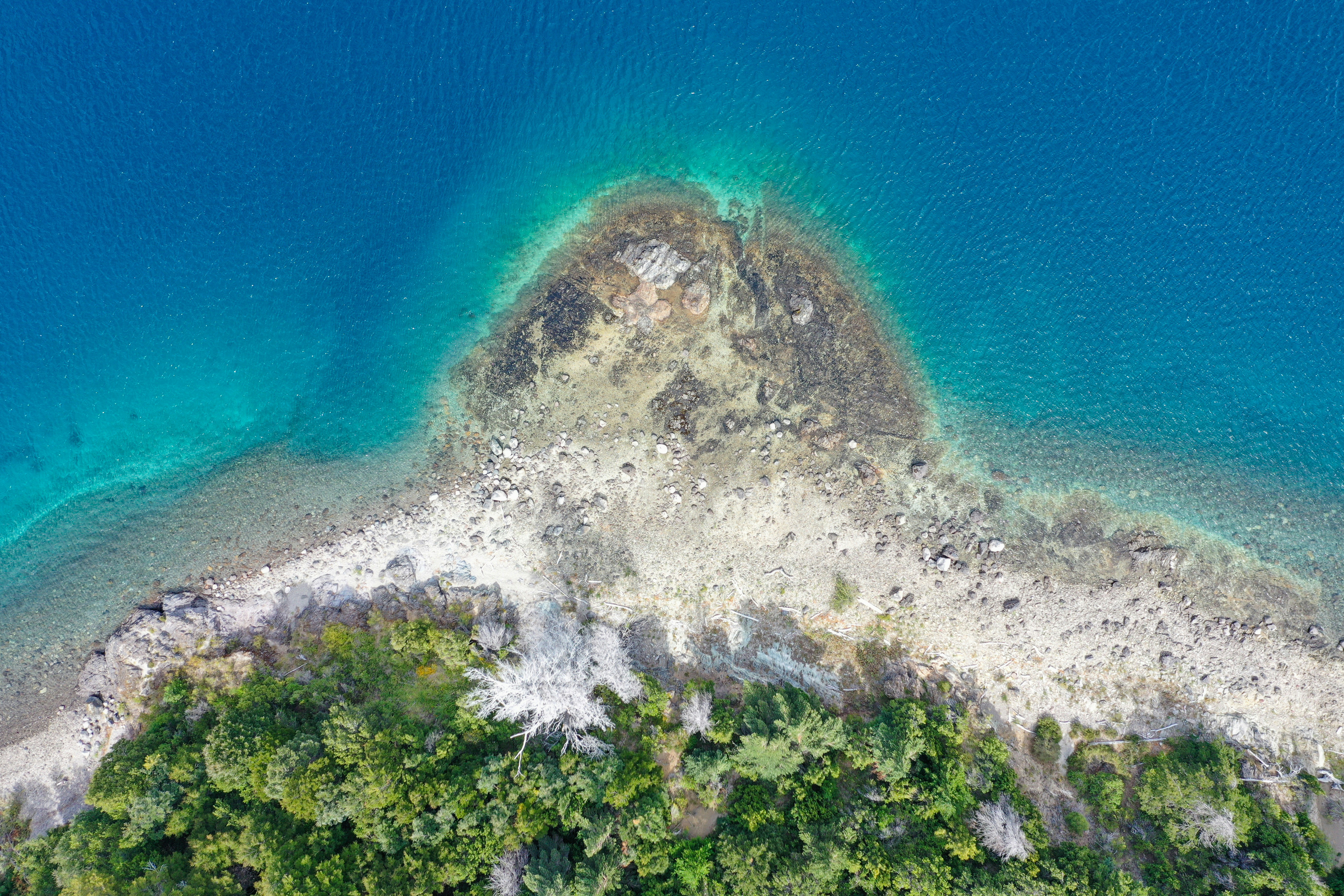 Aerial view of a rugged shoreline meeting a vibrant blue lake, surrounded by lush green forest.