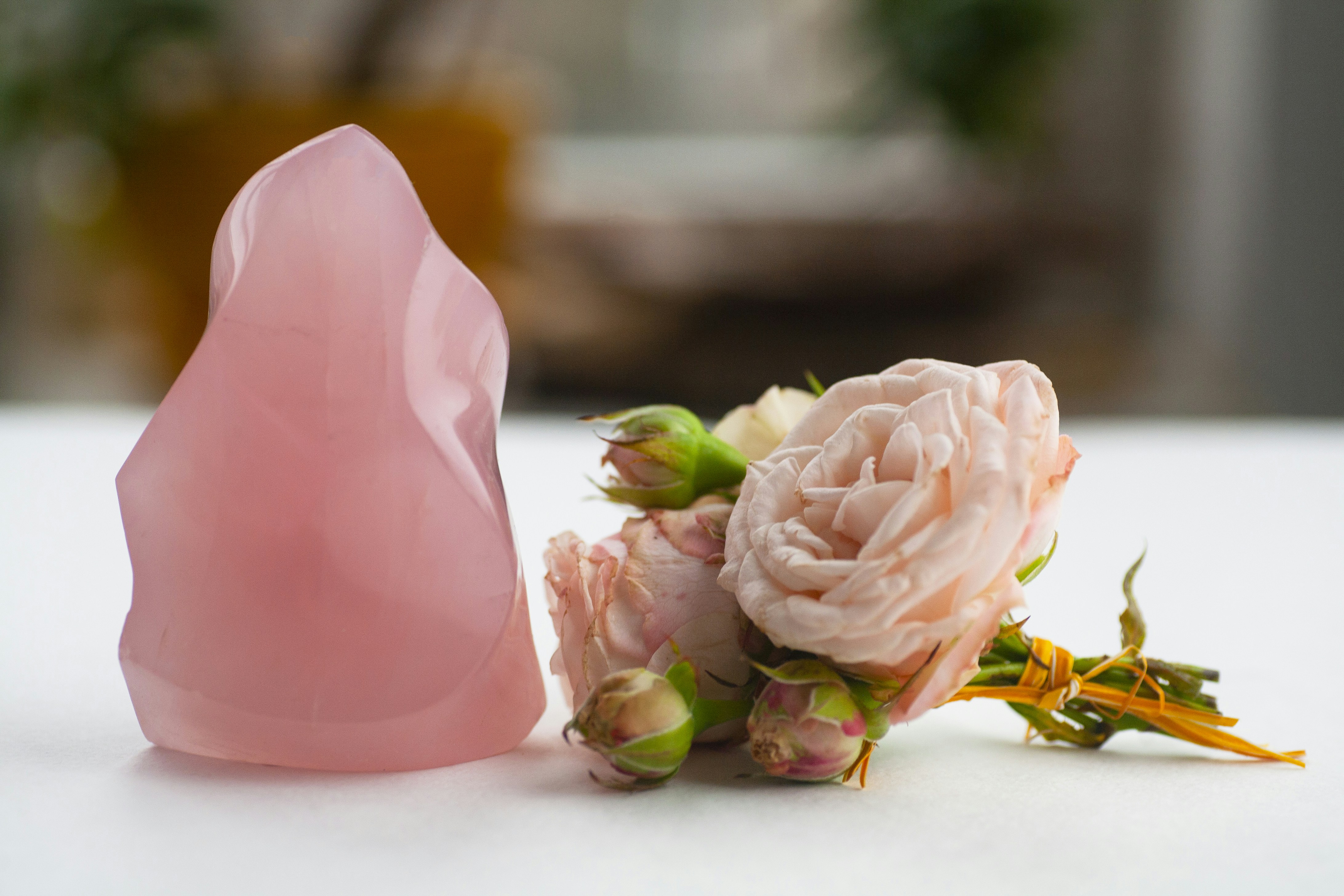 Blush Rosette and a Translucent Capsule: A Quiet Floral Still-Life