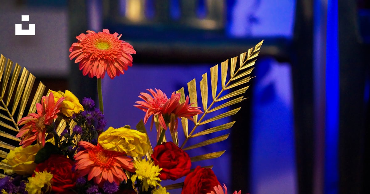 Fleurs rouges et jaunes dans un vase bleu photo – Photo Chennai ... Fleurs rouges et jaunes dans un vase bleu photo – Photo Chennai ...
