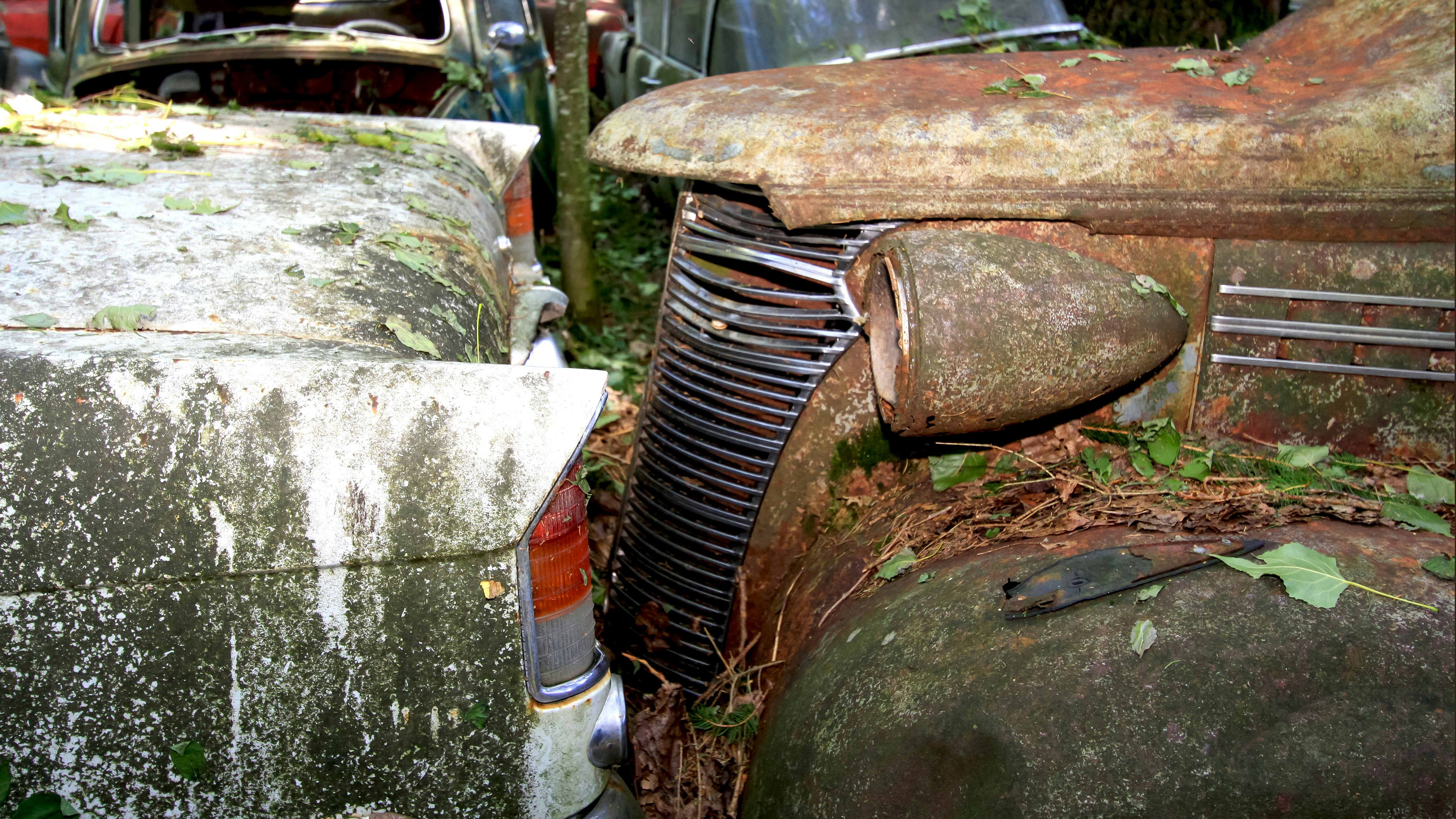 Grille in the Gap: Moss-Covered Relics in a Rusted Junkyard