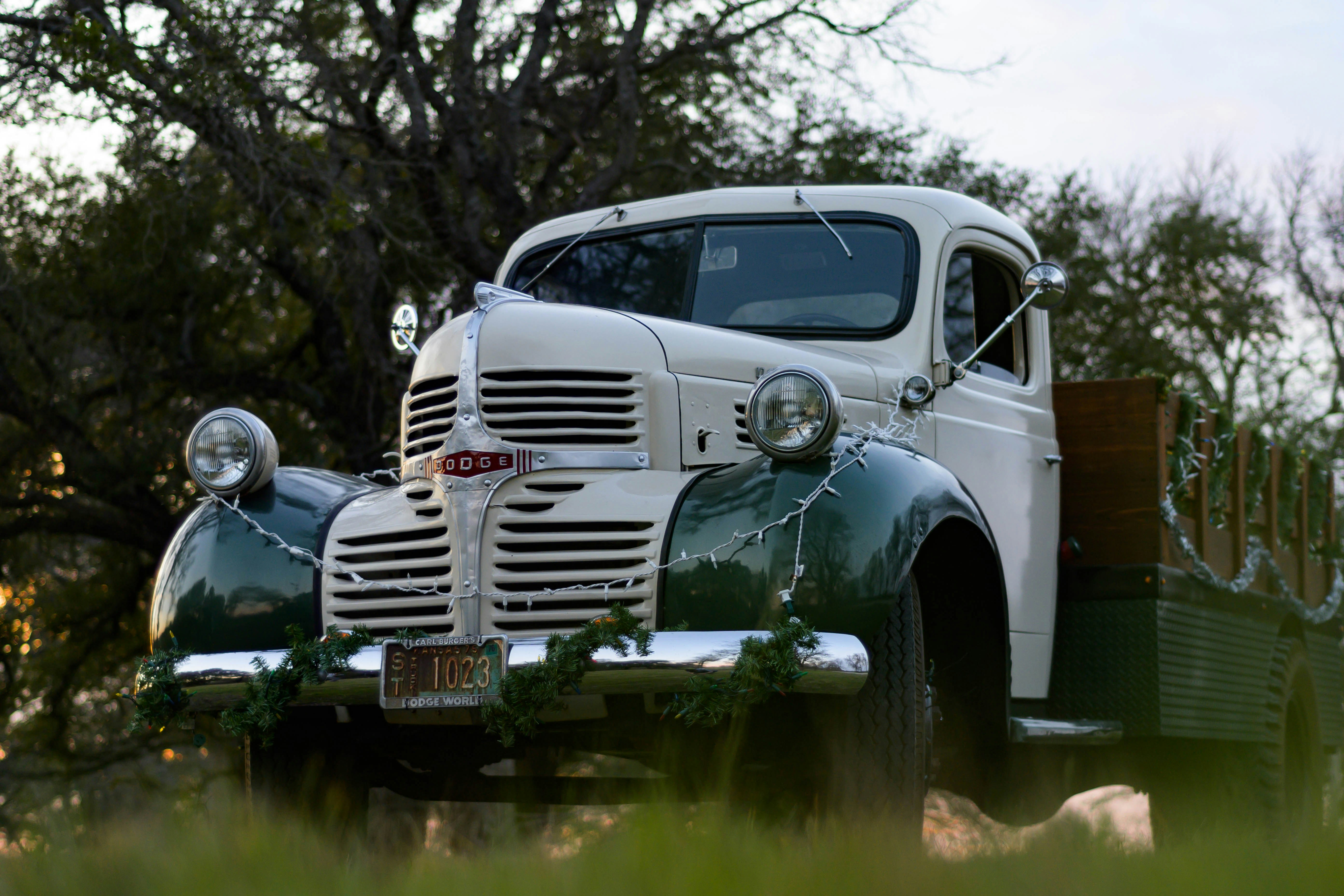 A classic Dodge truck adorned with festive greenery, parked amidst a natural setting, showcasing its vintage design and character.
