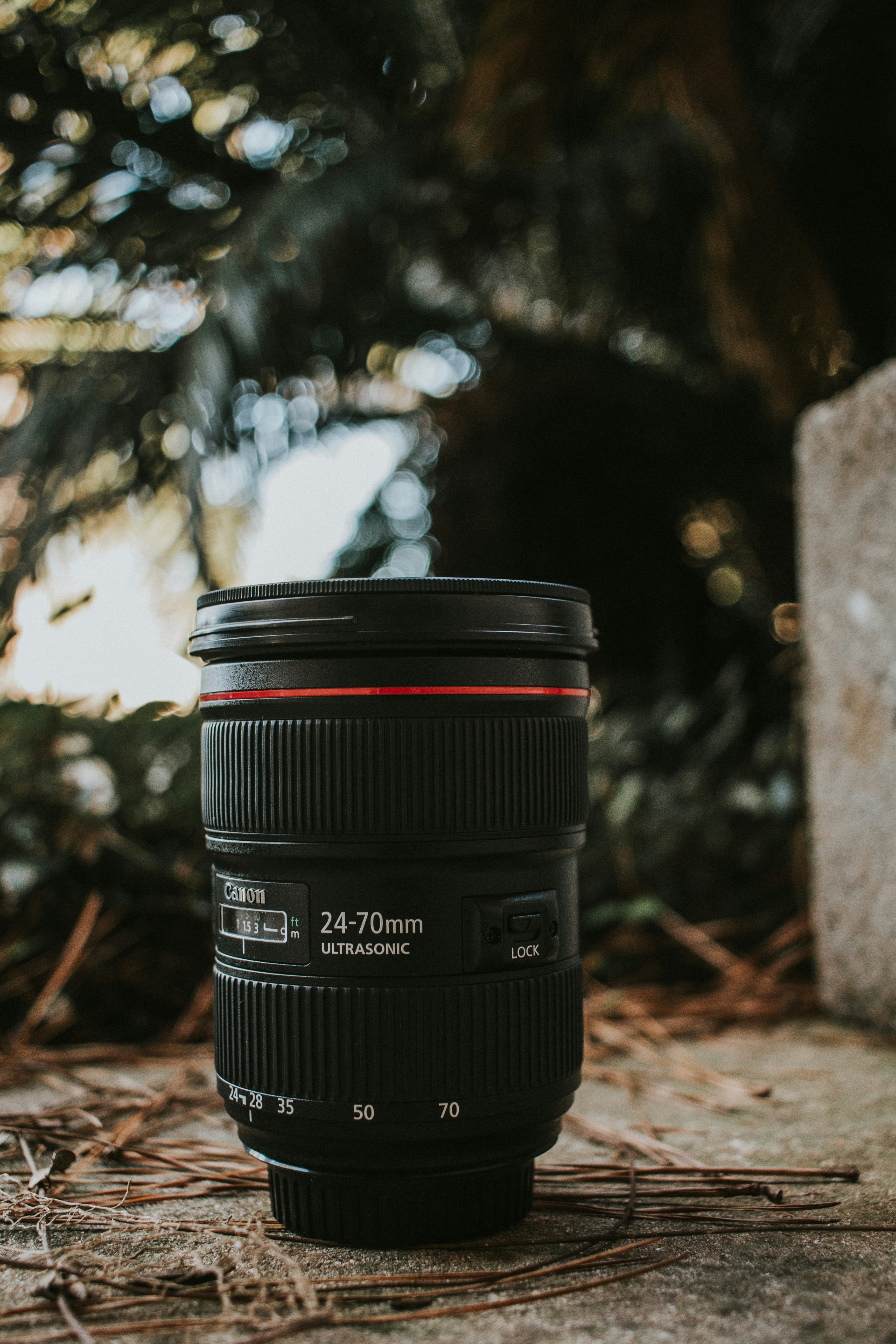 Diamond-ringed Canon: a close-up of a 24-70mm lens resting among pine needles