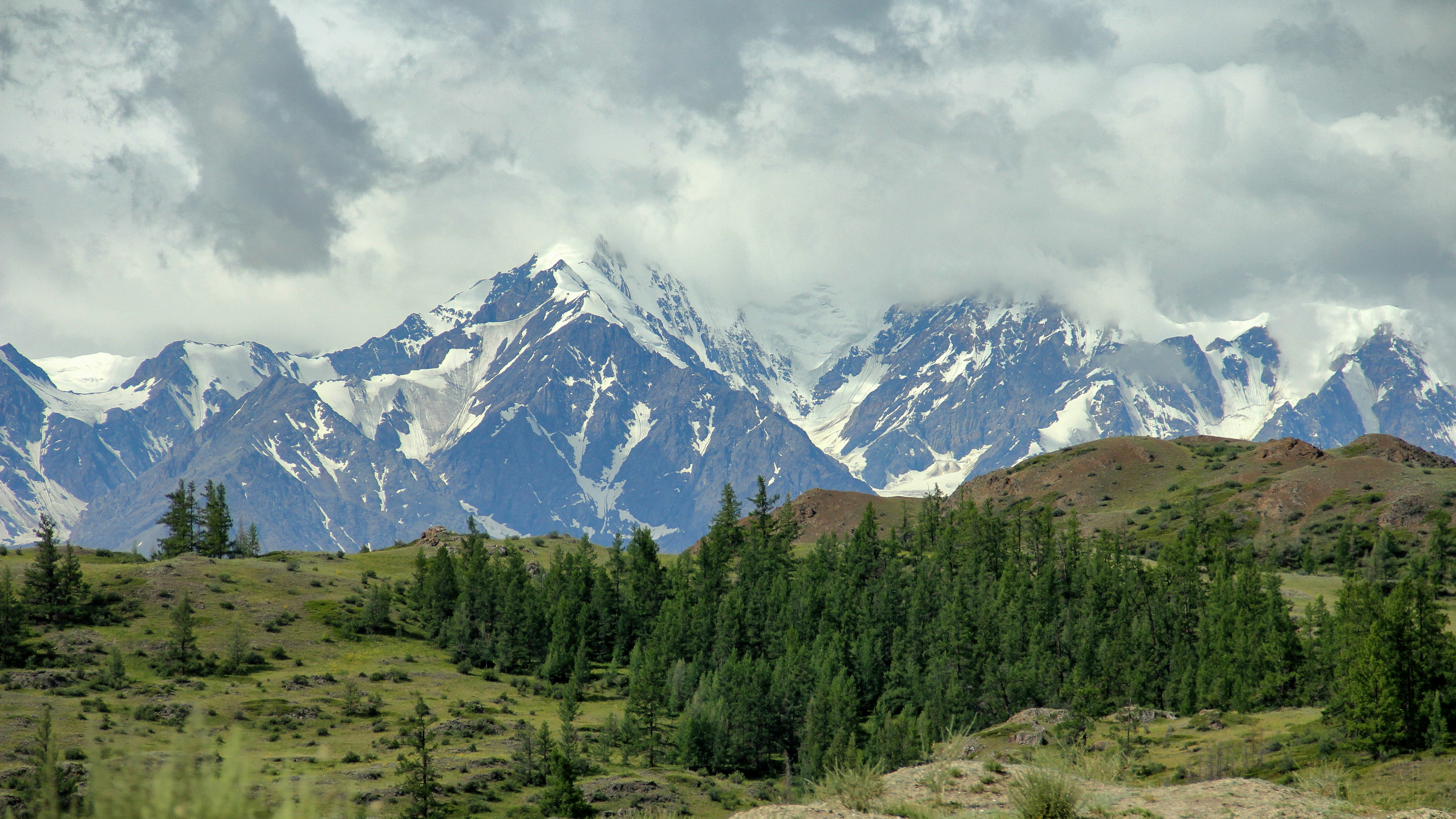 Snow-capped mountains rise behind a lush green forest under a cloudy sky.