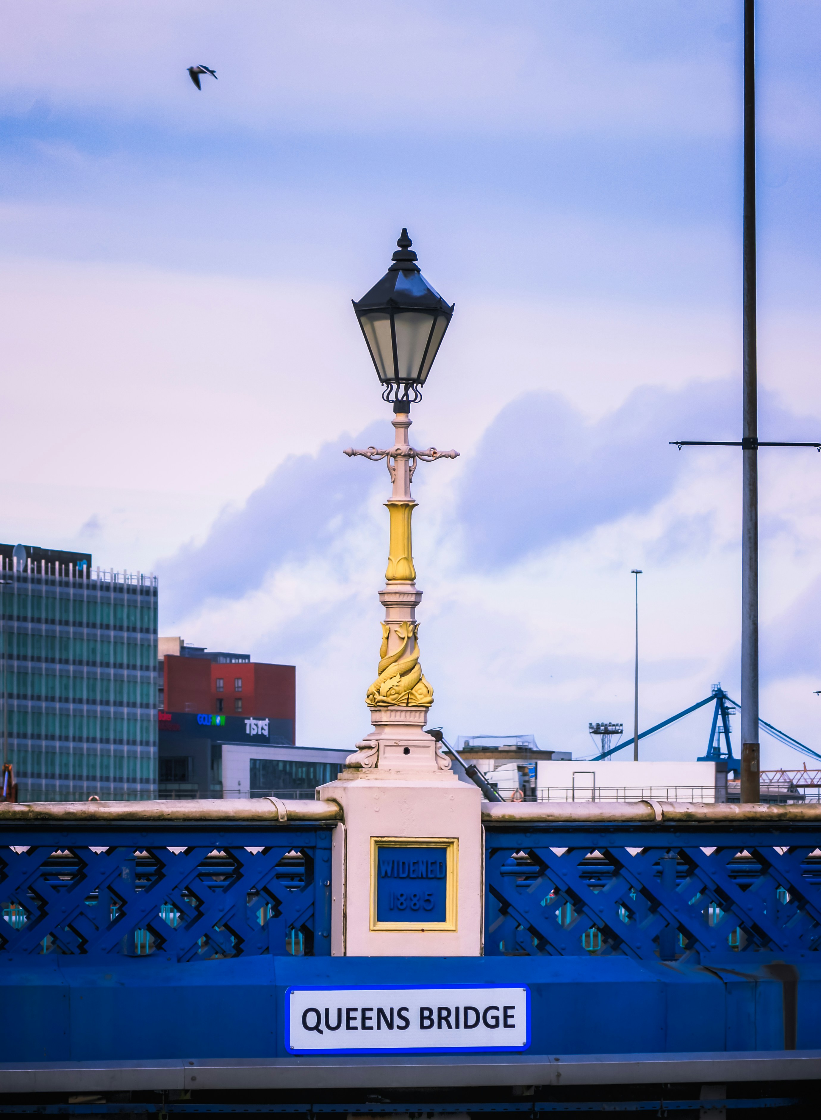 Ornate lamp post on Queens Bridge rises above the blue railing with a distant cityscape and cloudy sky.