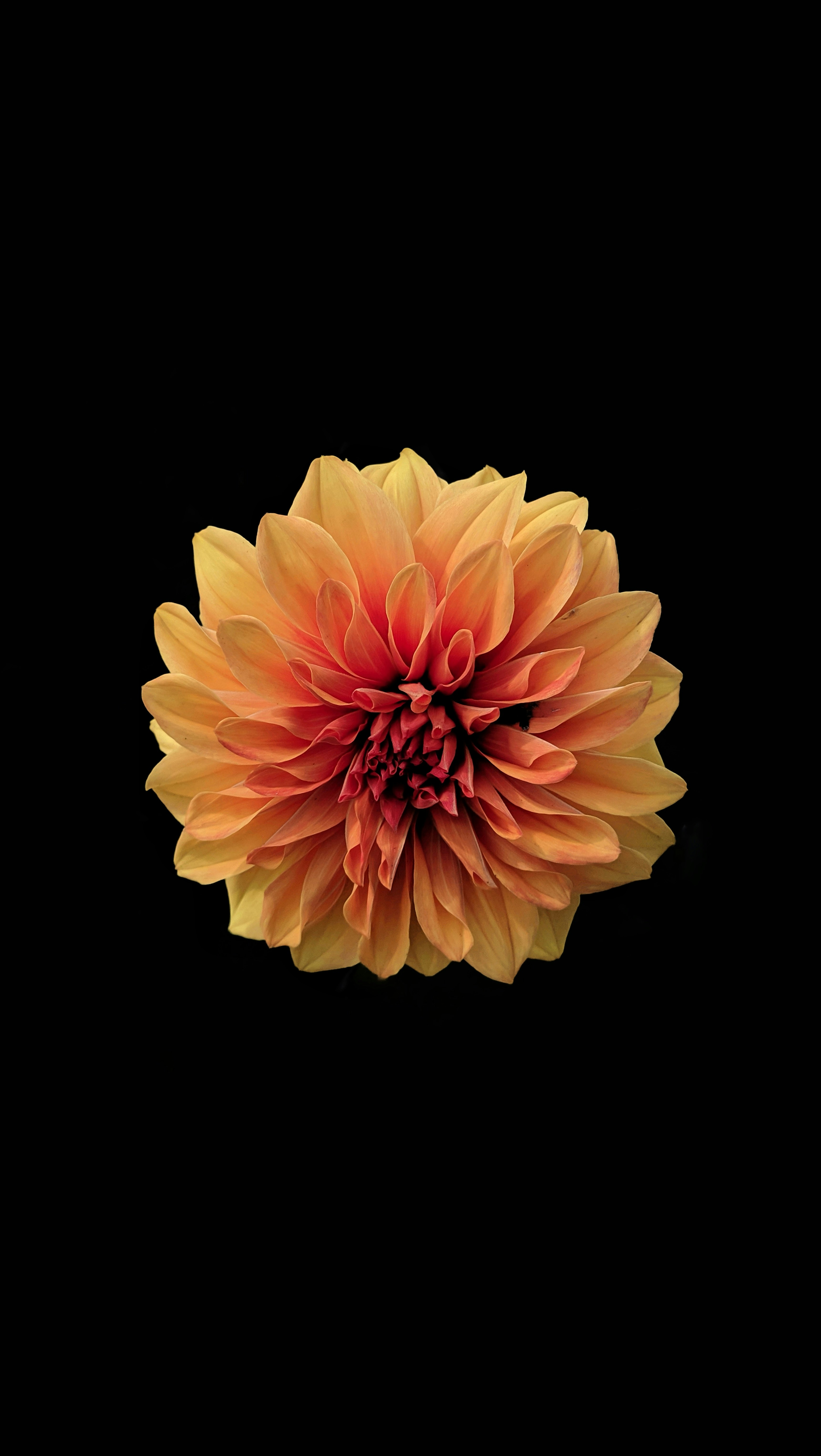 Unsplash wallpapers 1080p - arkmong