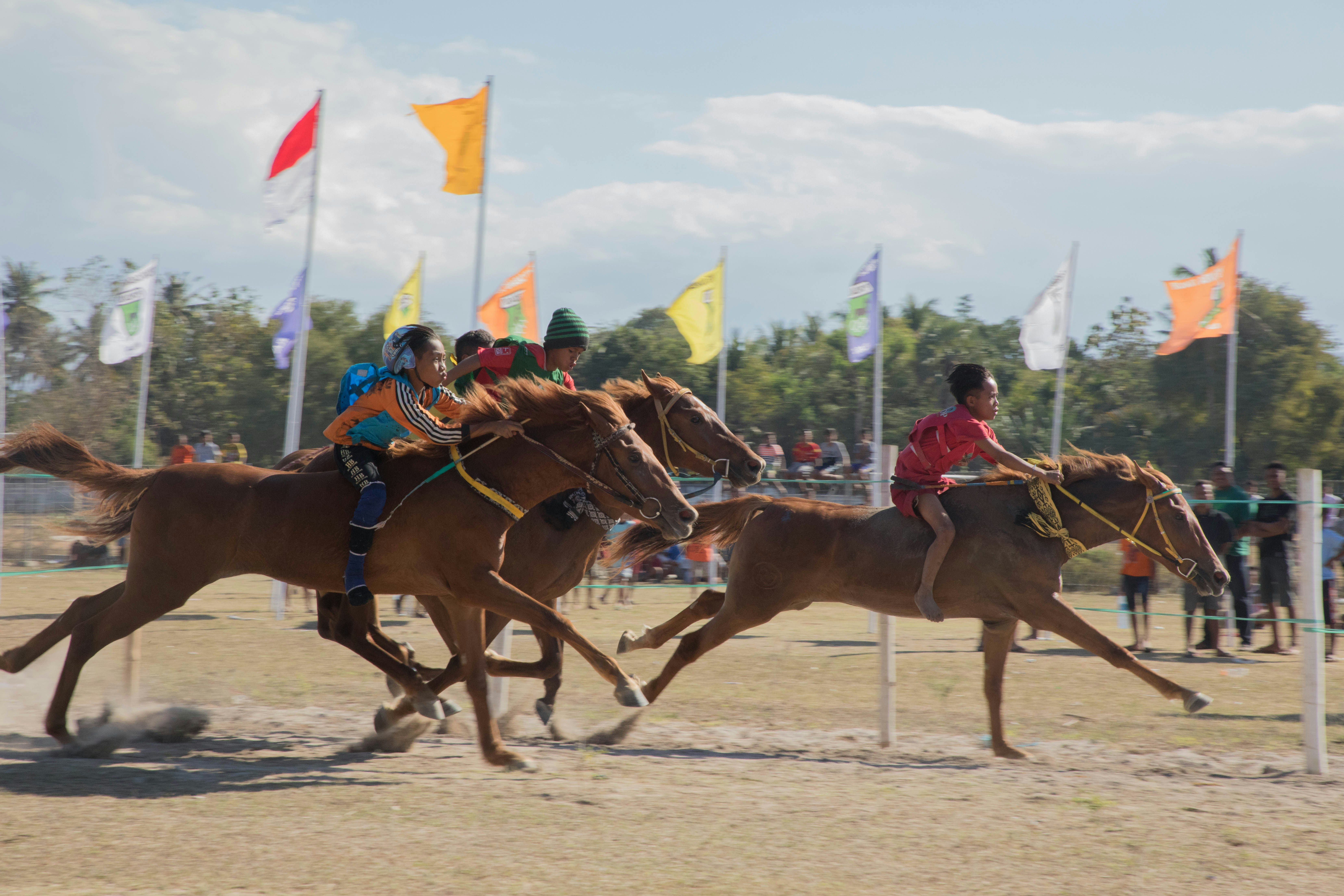 Four riders in vibrant attire race on horseback, showcasing speed and agility against a backdrop of colorful flags.