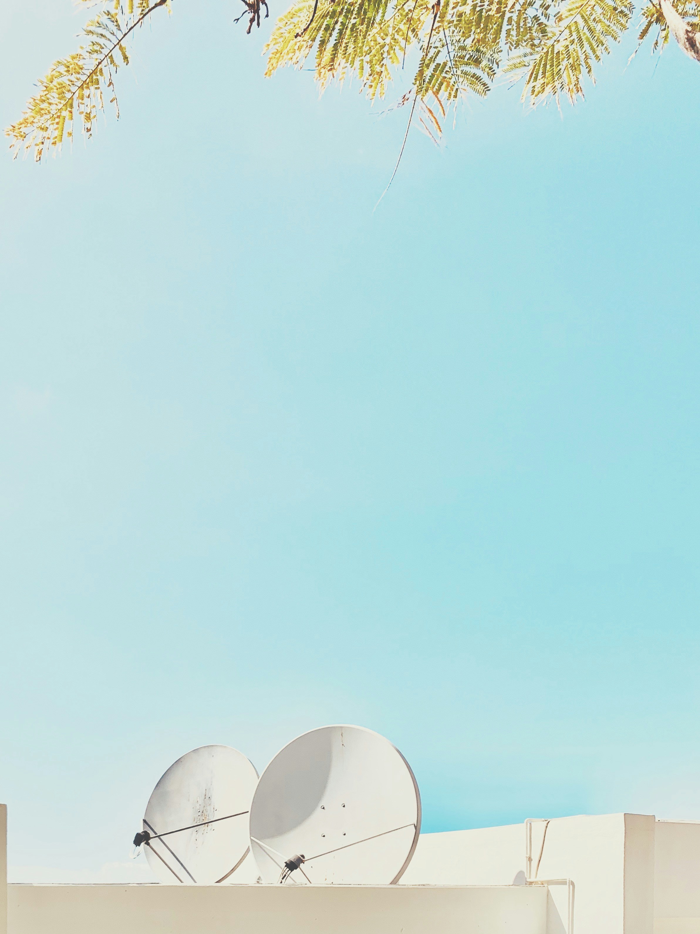 Solid Color Pictures | Download Free Images on Unsplash