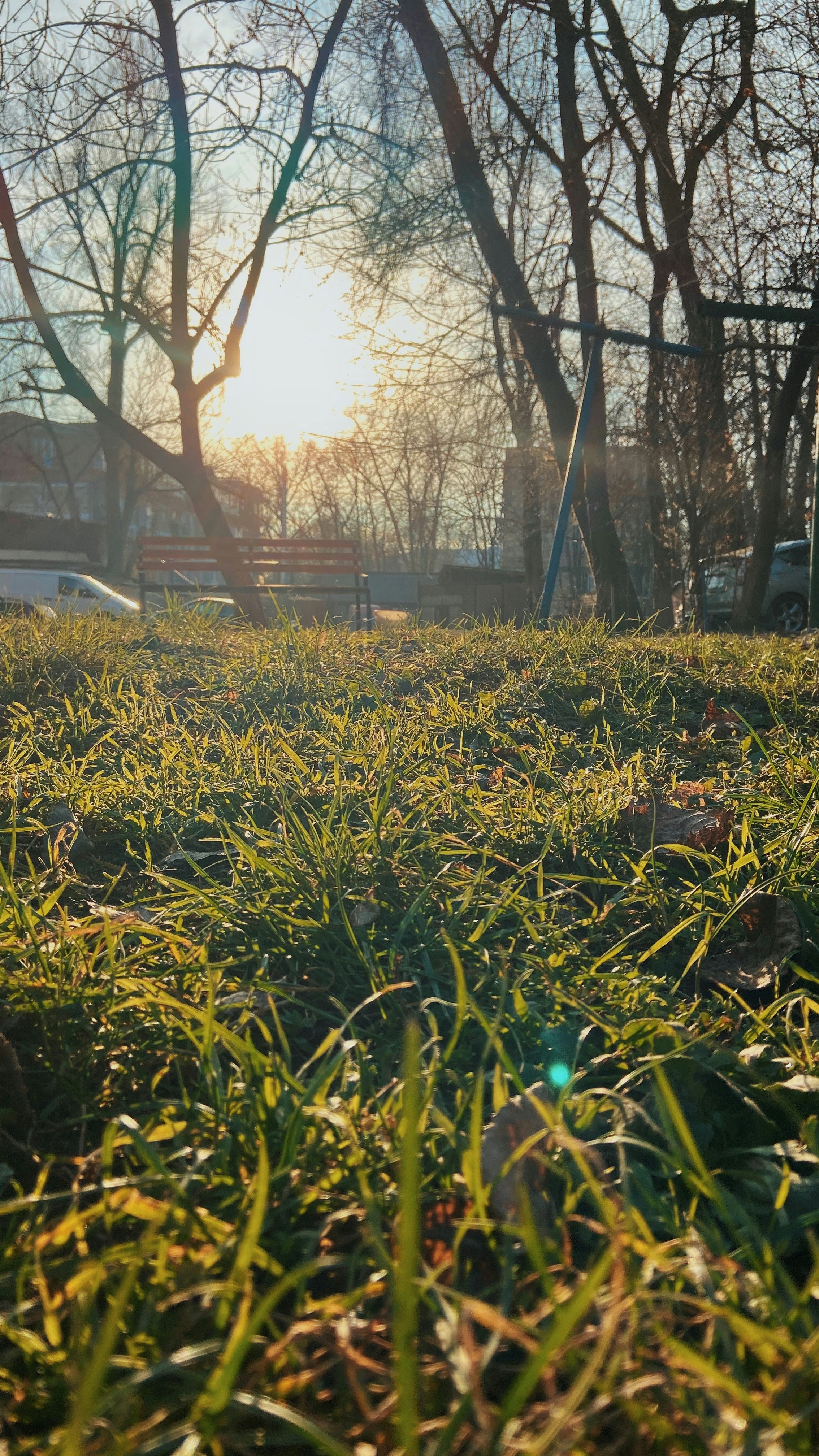Sunlight filters through trees, illuminating dew-kissed grass in a tranquil park setting. A swing set adds a playful touch to the scene.