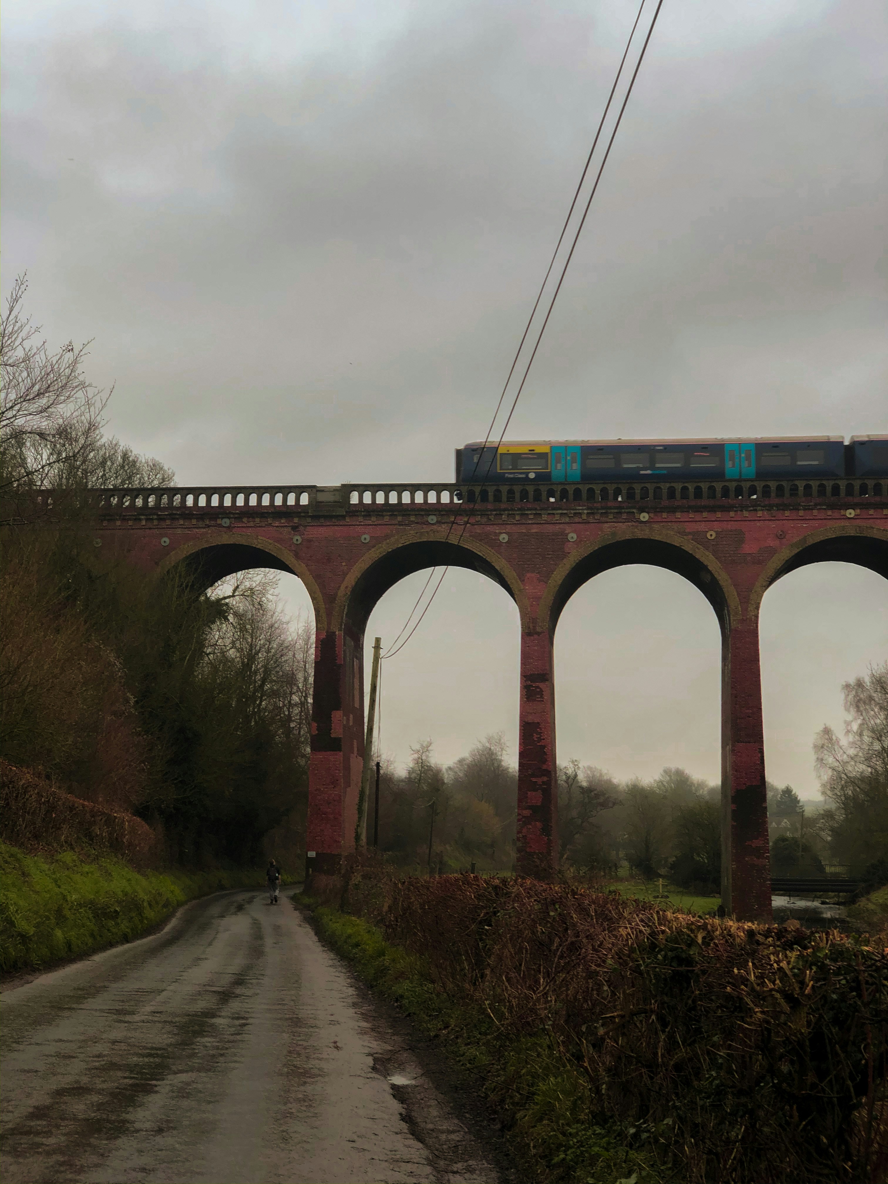 Majestic Train Passage Over Arched Viaduct