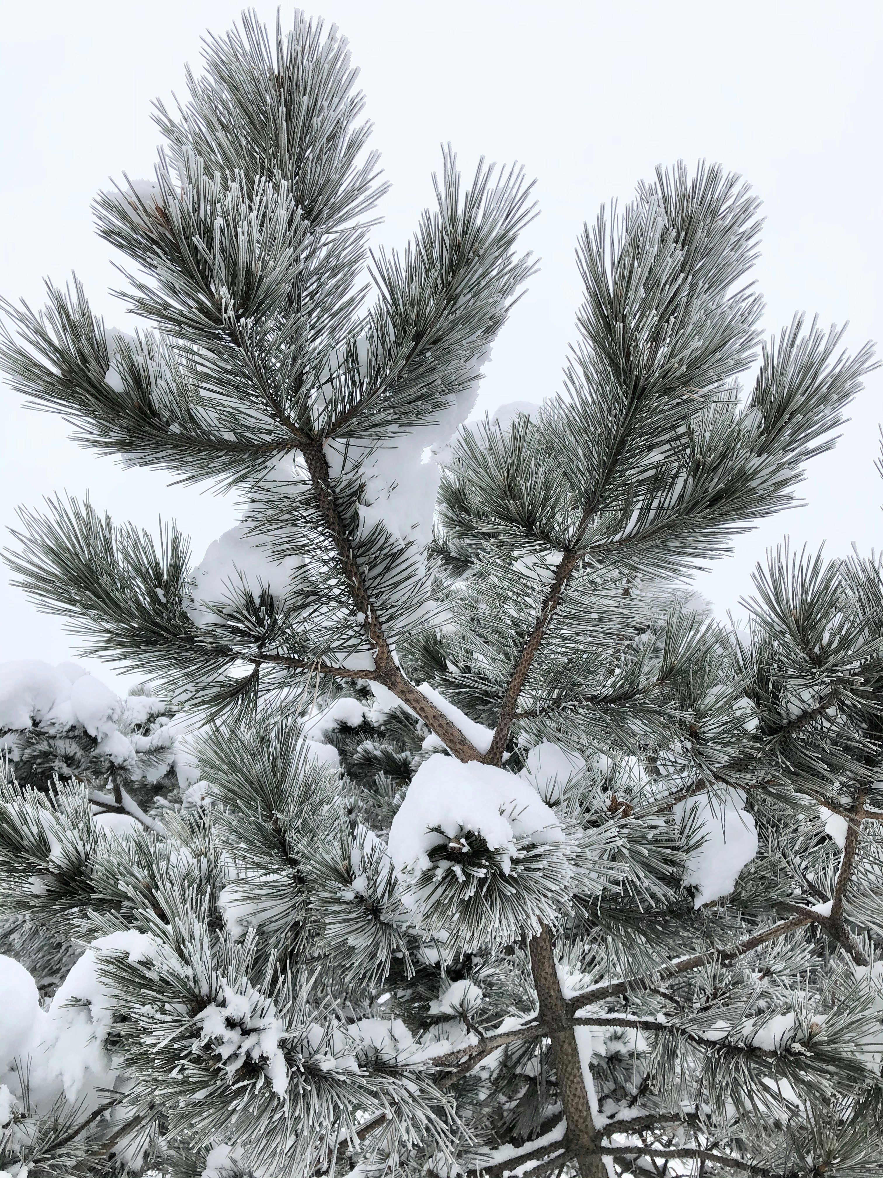 Rodi Do (@rozany) | Komunitas Foto Unsplash