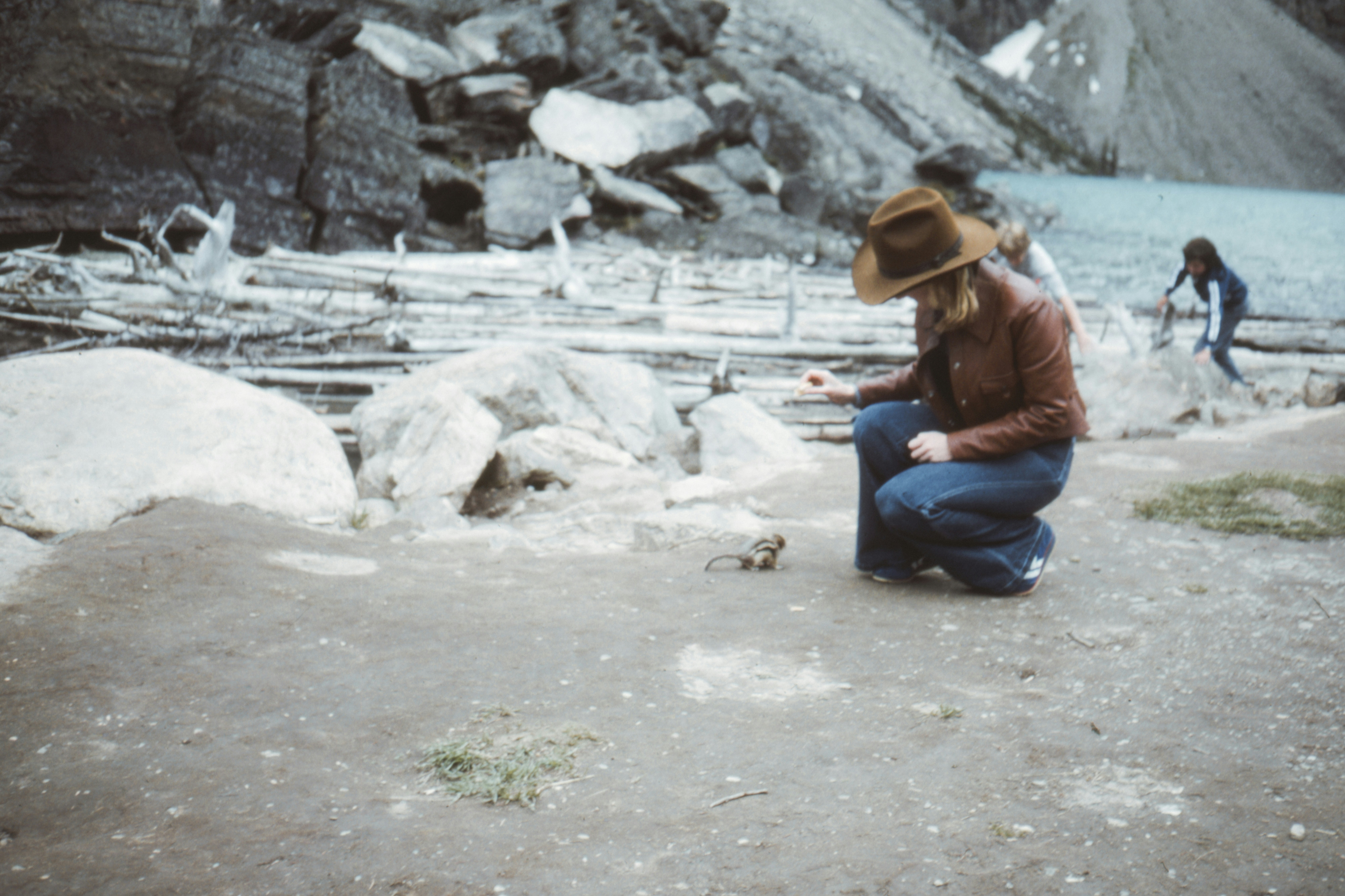 A Quiet Moment by the Shore: A Woman in a Hat Feeds Curious Birds