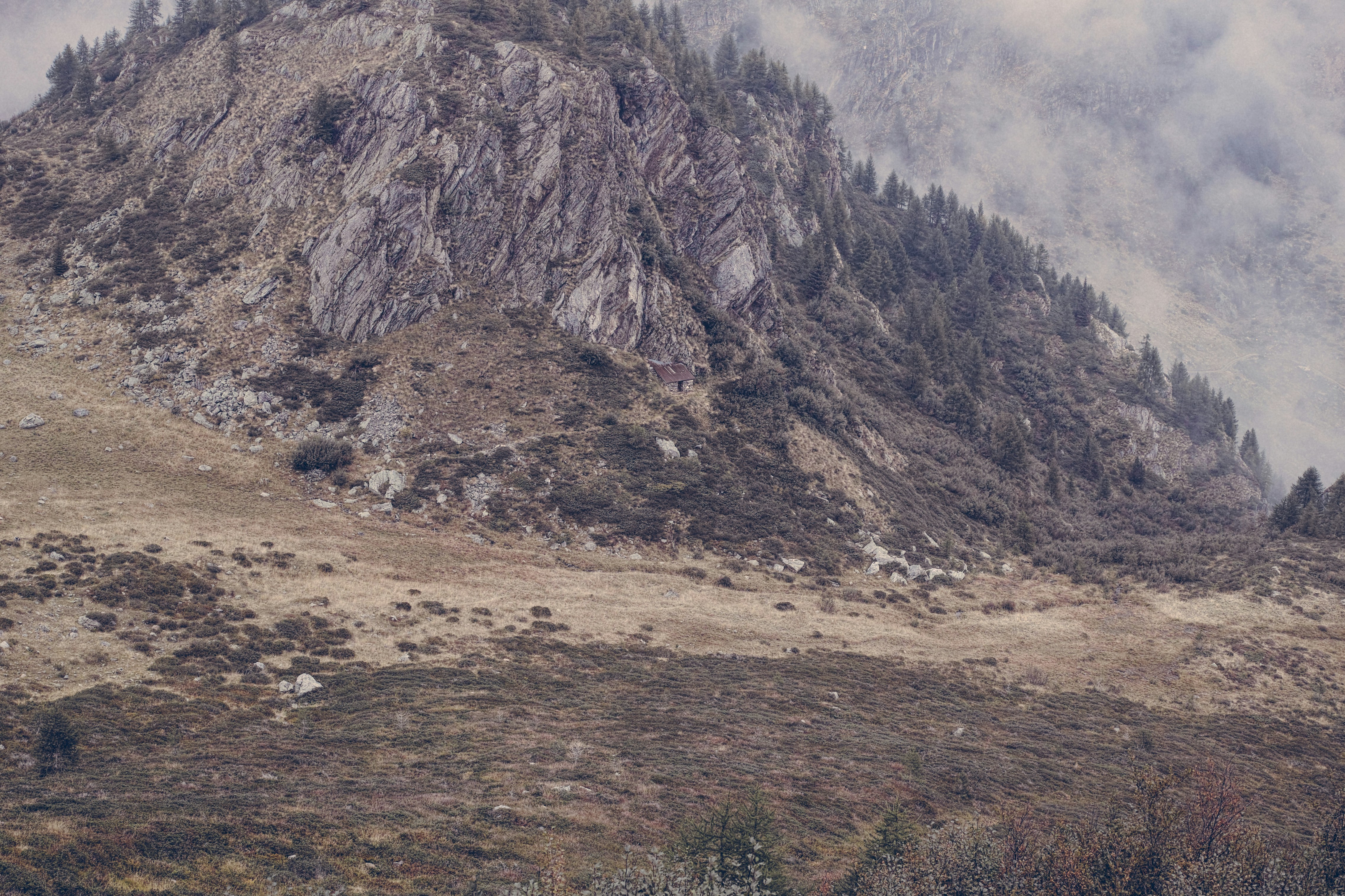 Définition de ainsité | Dictionnaire français