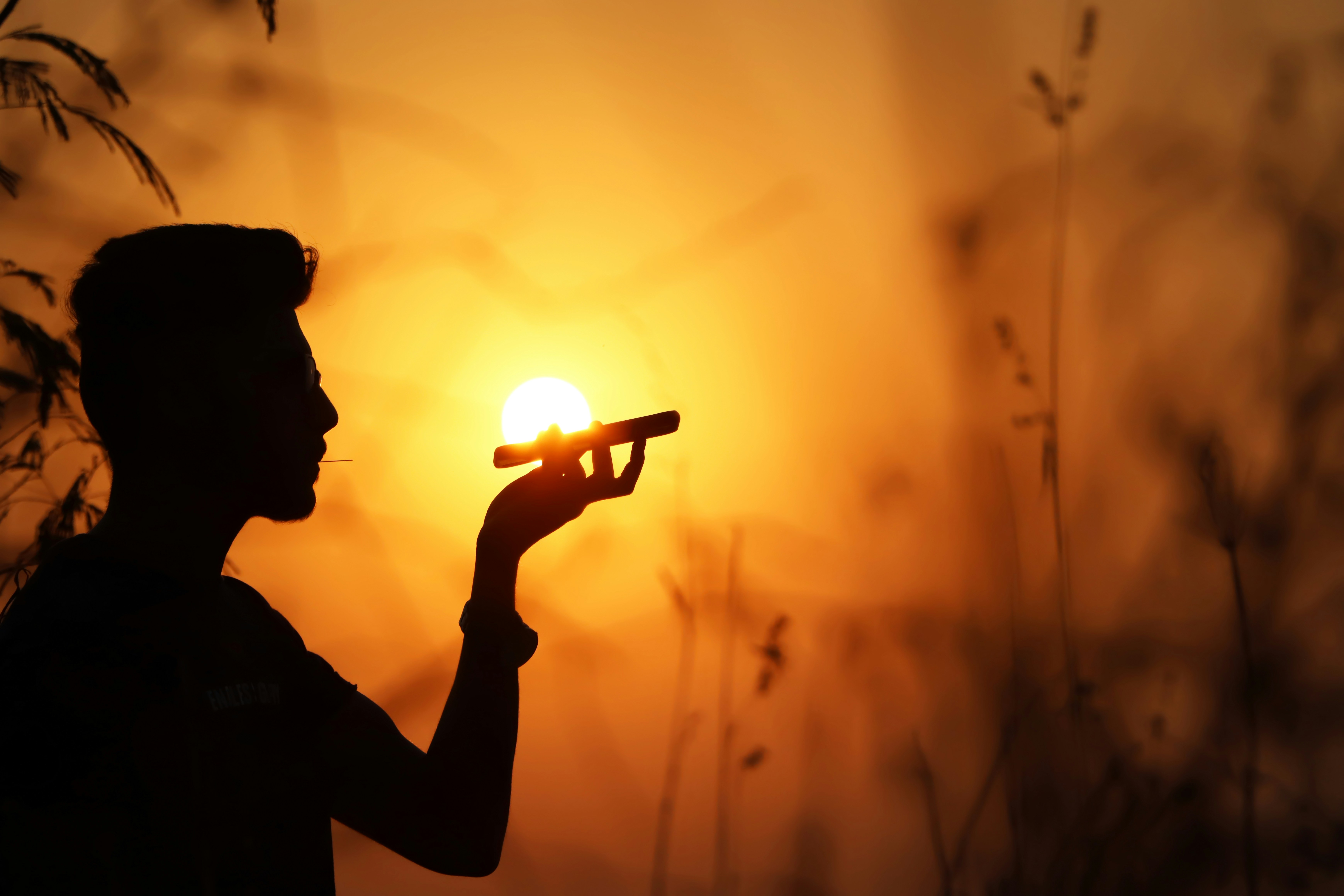 Silhouette Whispers at Sunset
