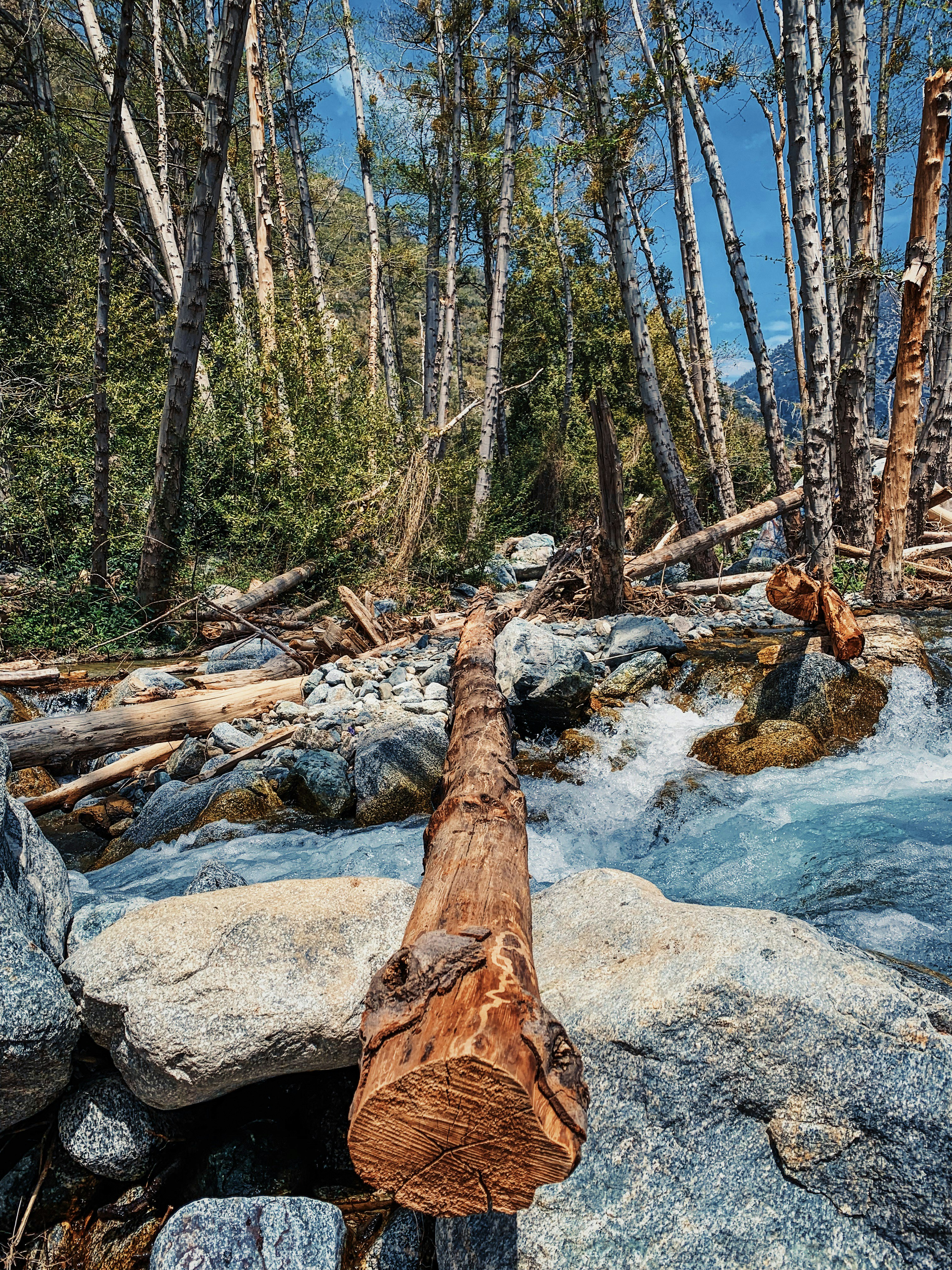 Brooke Denevan (@alphapacific) | Comunidad de fotos de Unsplash