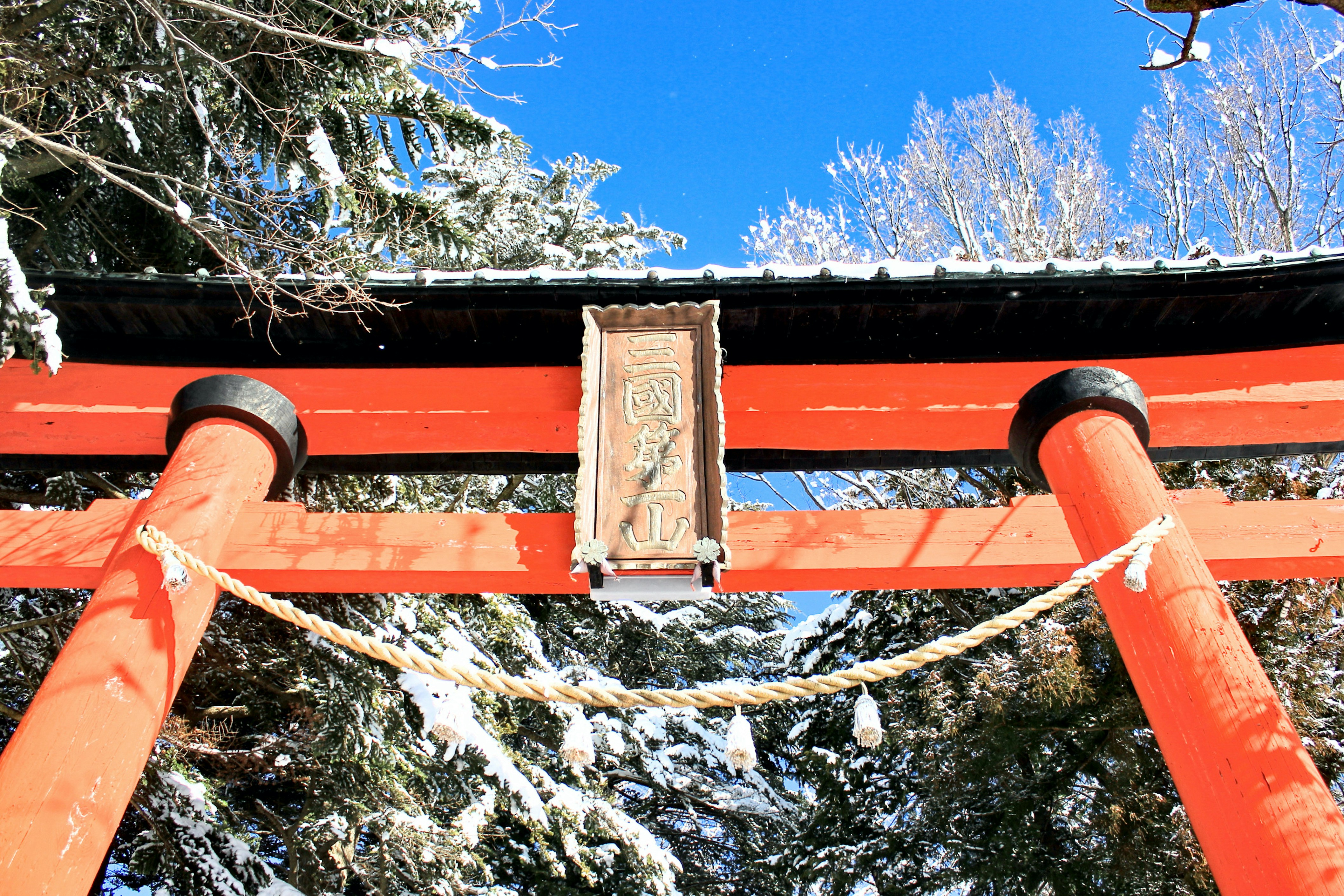 Torii Gate in Winter Seas of Snow