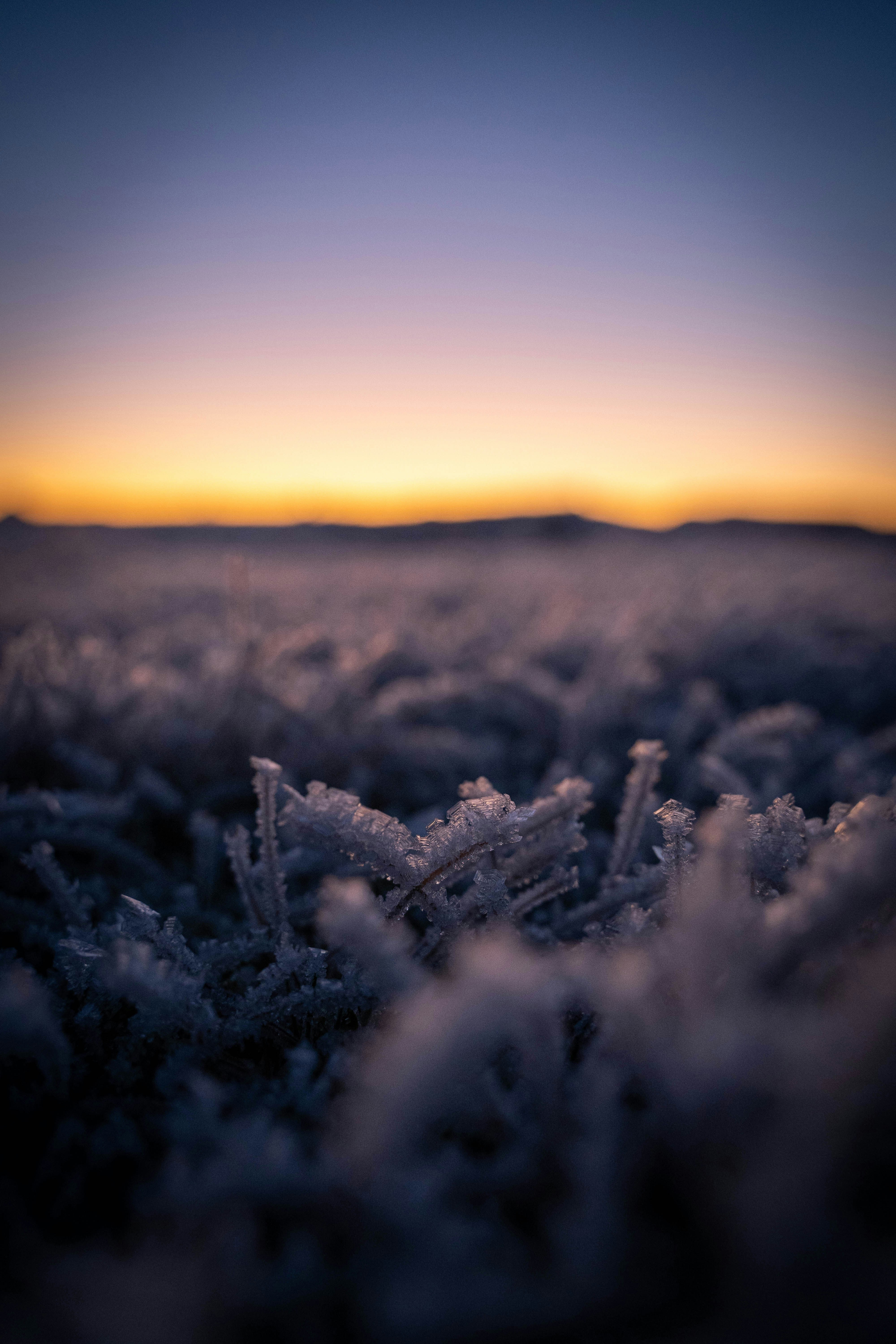 Delicate frost crystals glisten atop a field as the horizon transitions from night to day. The soft gradient of the sky hints at the warmth of the upcoming sun.