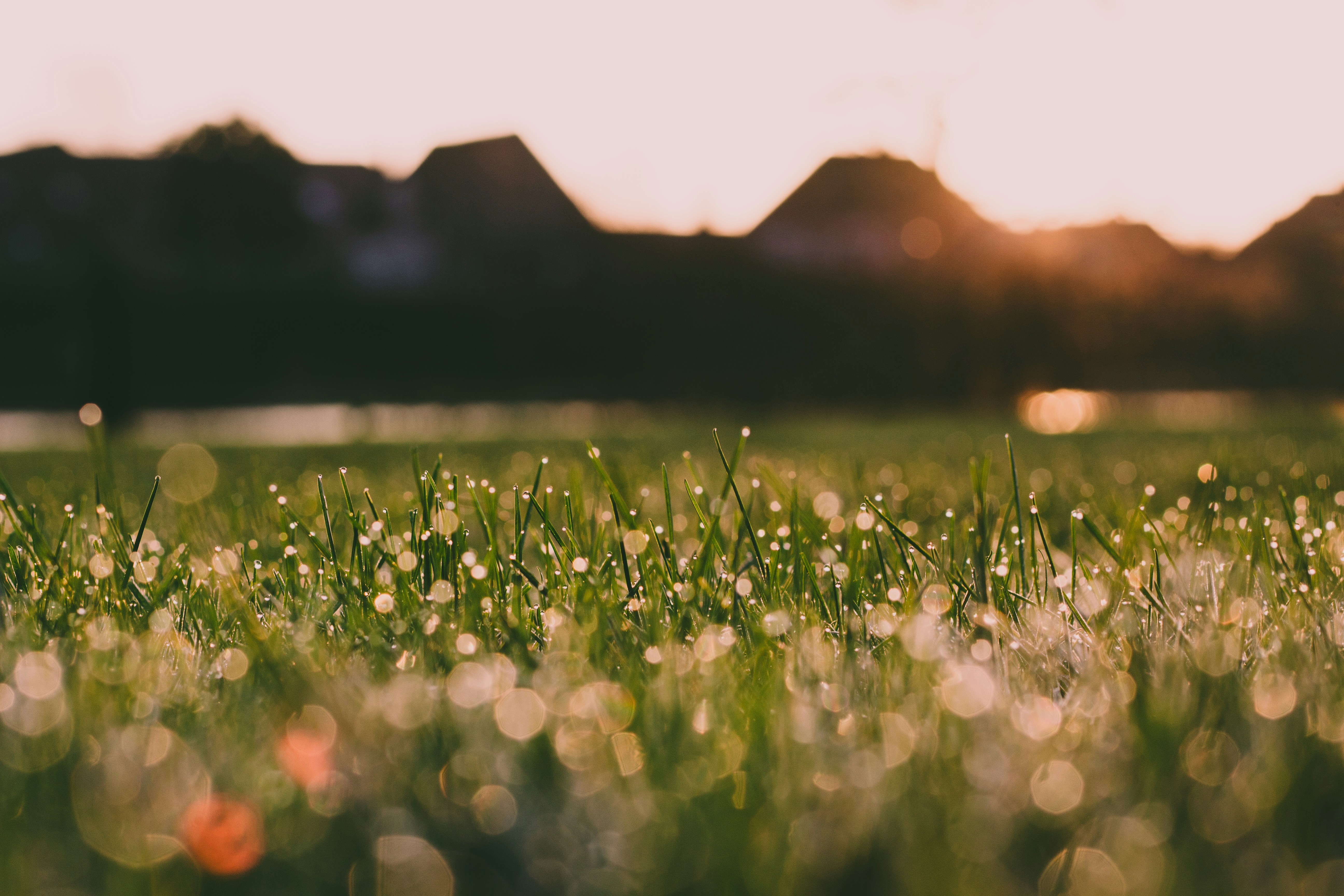 Green grass field during daytime photo – Free Green Image on Unsplash