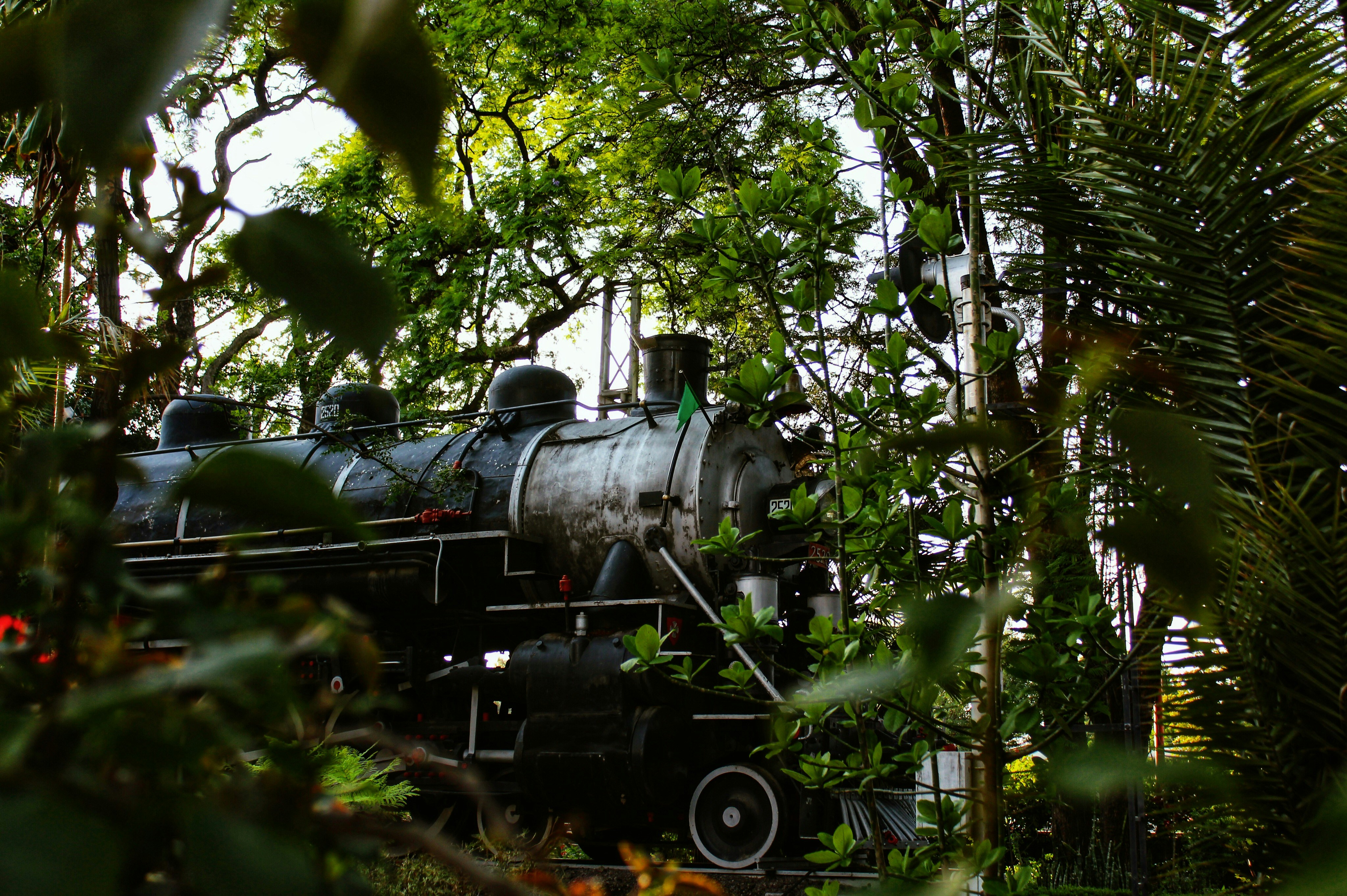Hidden Locomotive in the Green Corridor