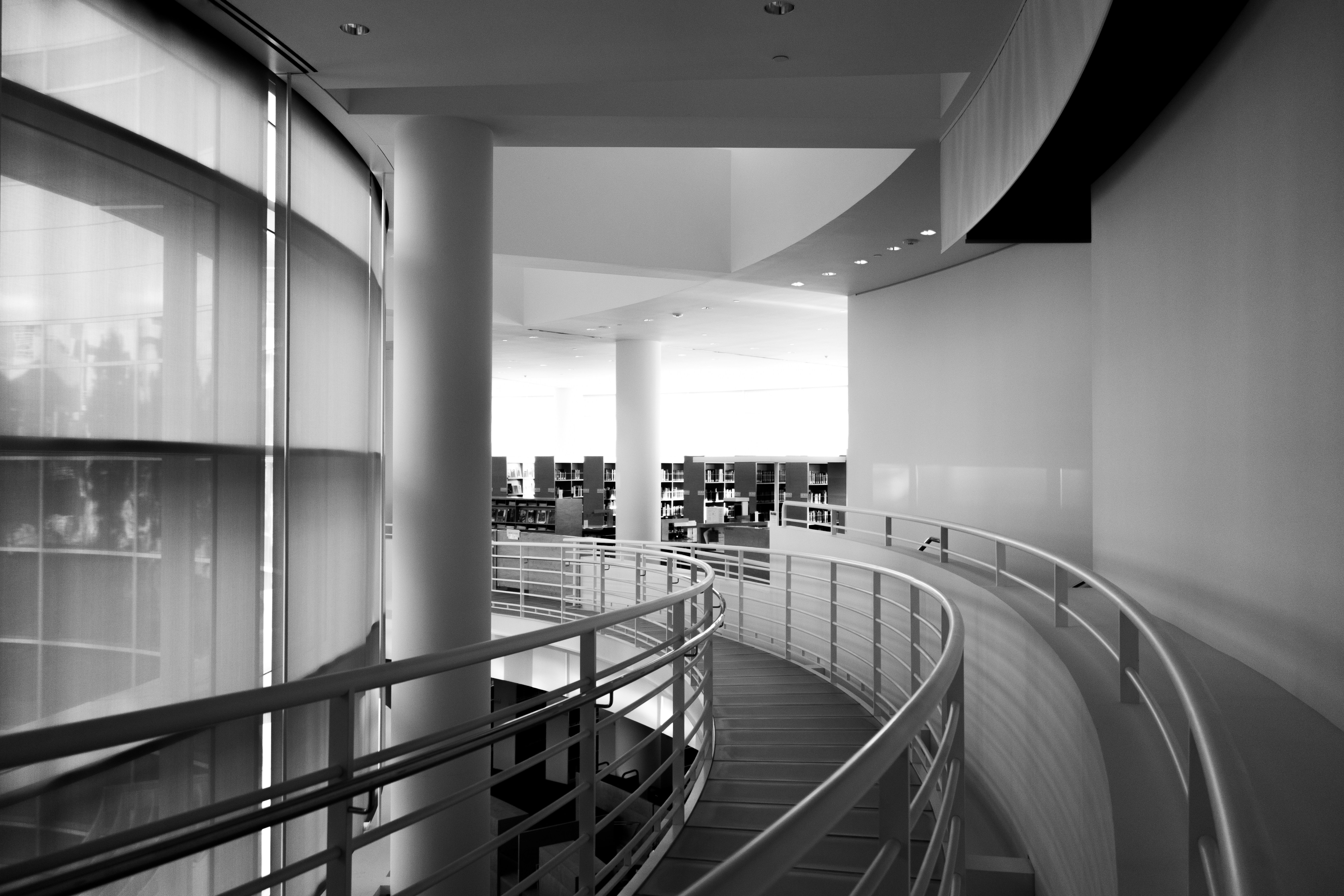 Monochrome Atrium: The Silver Ribbon Carving Through Space