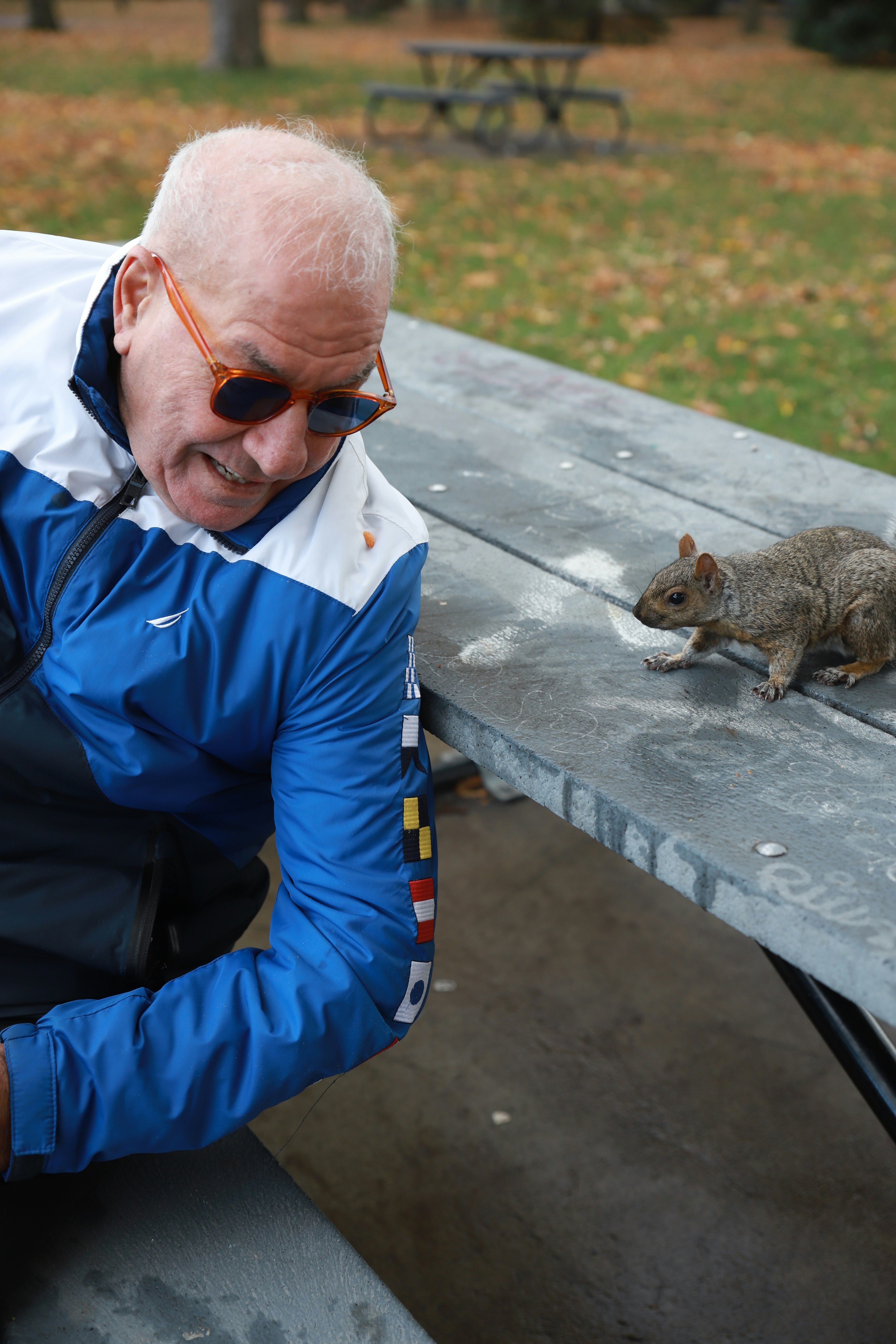 The Parkside Rendezvous: A Blue-Jacket Moment with a Curious Squirrel